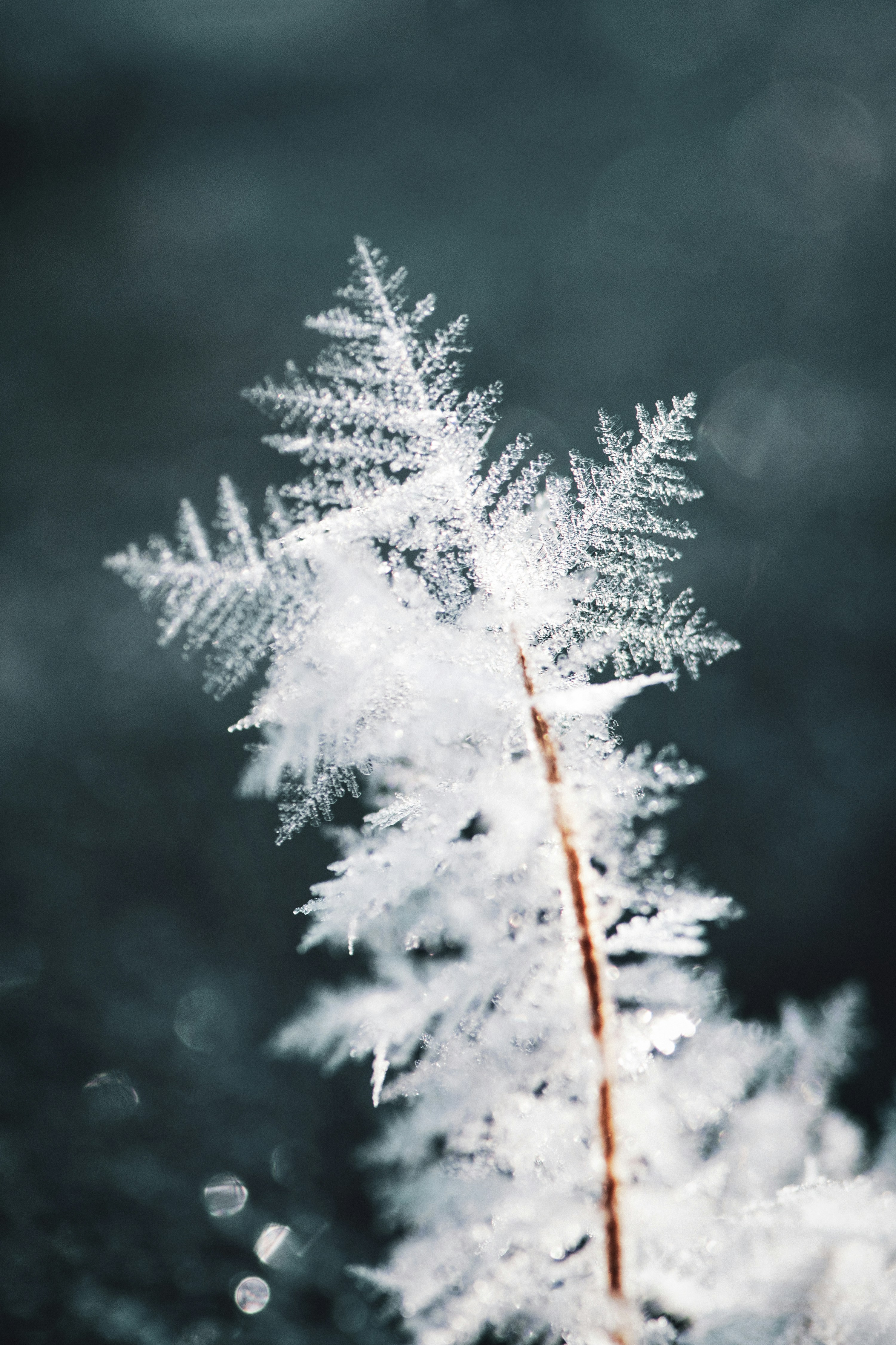 La glace photo – Image gratuite de Hiver sur Unsplash