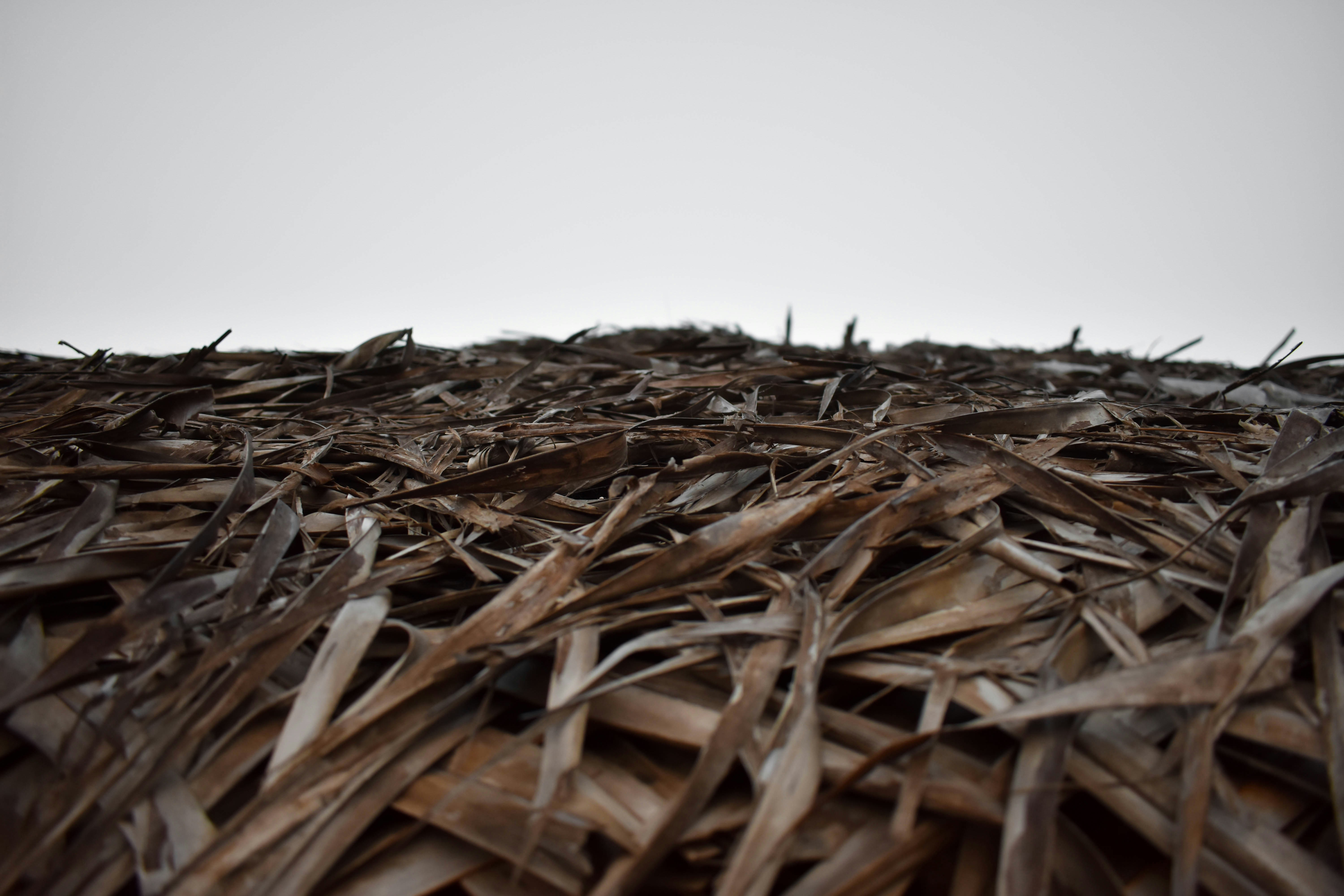 a close up of a pile of grass