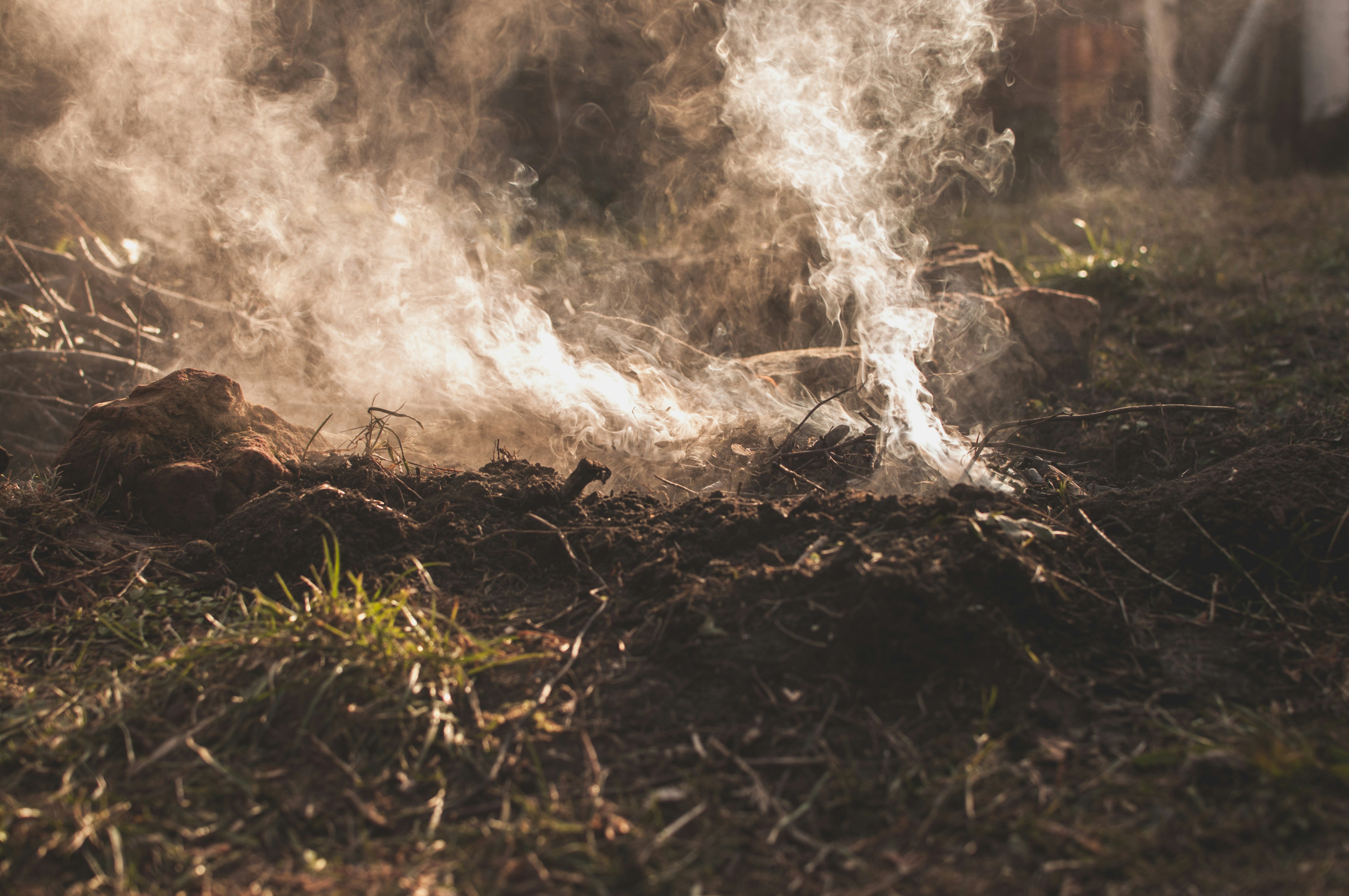 Green grass photo – Free Fire Image on Unsplash