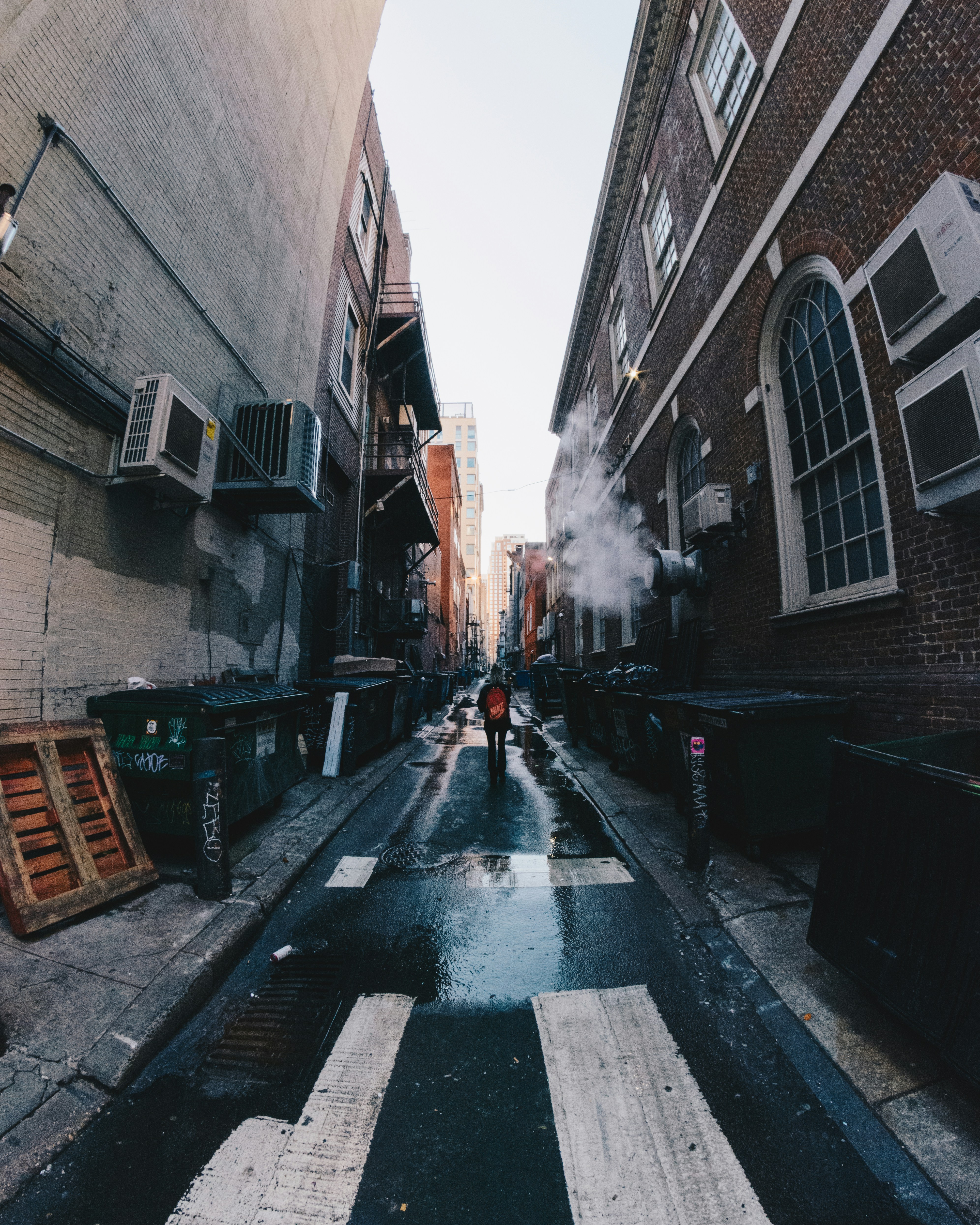 Urban Echoes: A Journey Through the Alley