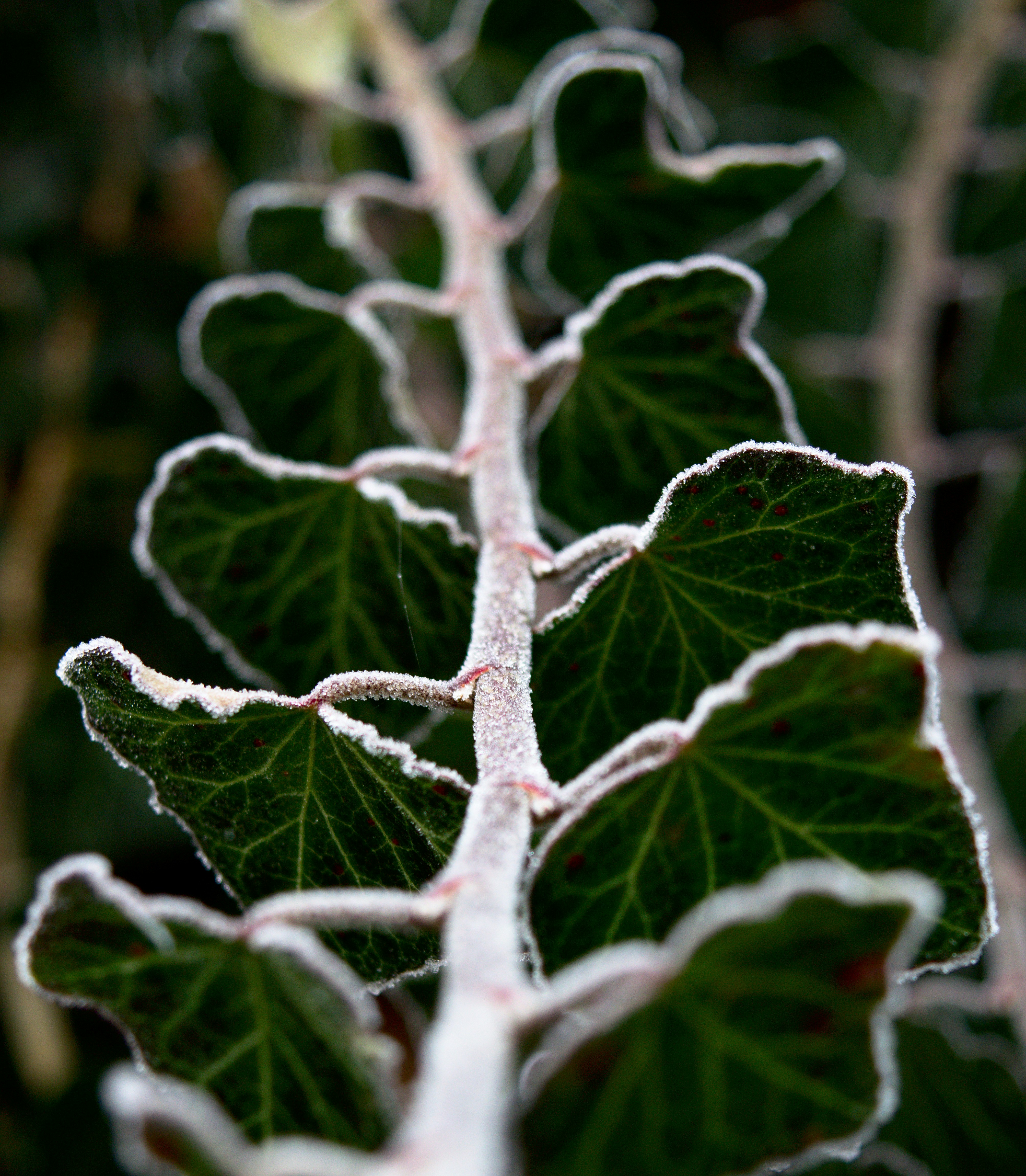 Emanuela Meli (@ema_90) | Unsplash Photo Community