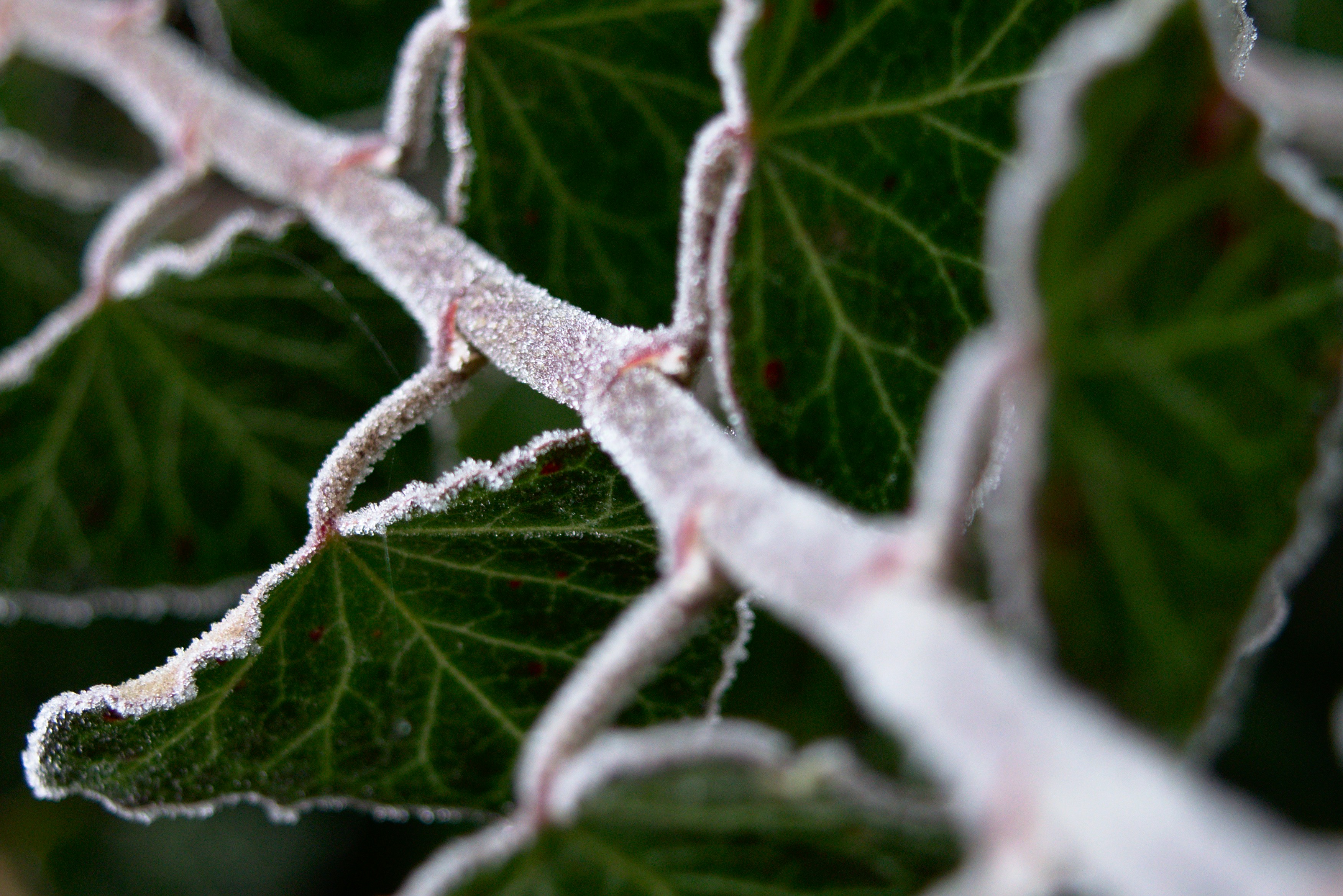 Emanuela Meli (@ema_90) | Unsplash Photo Community
