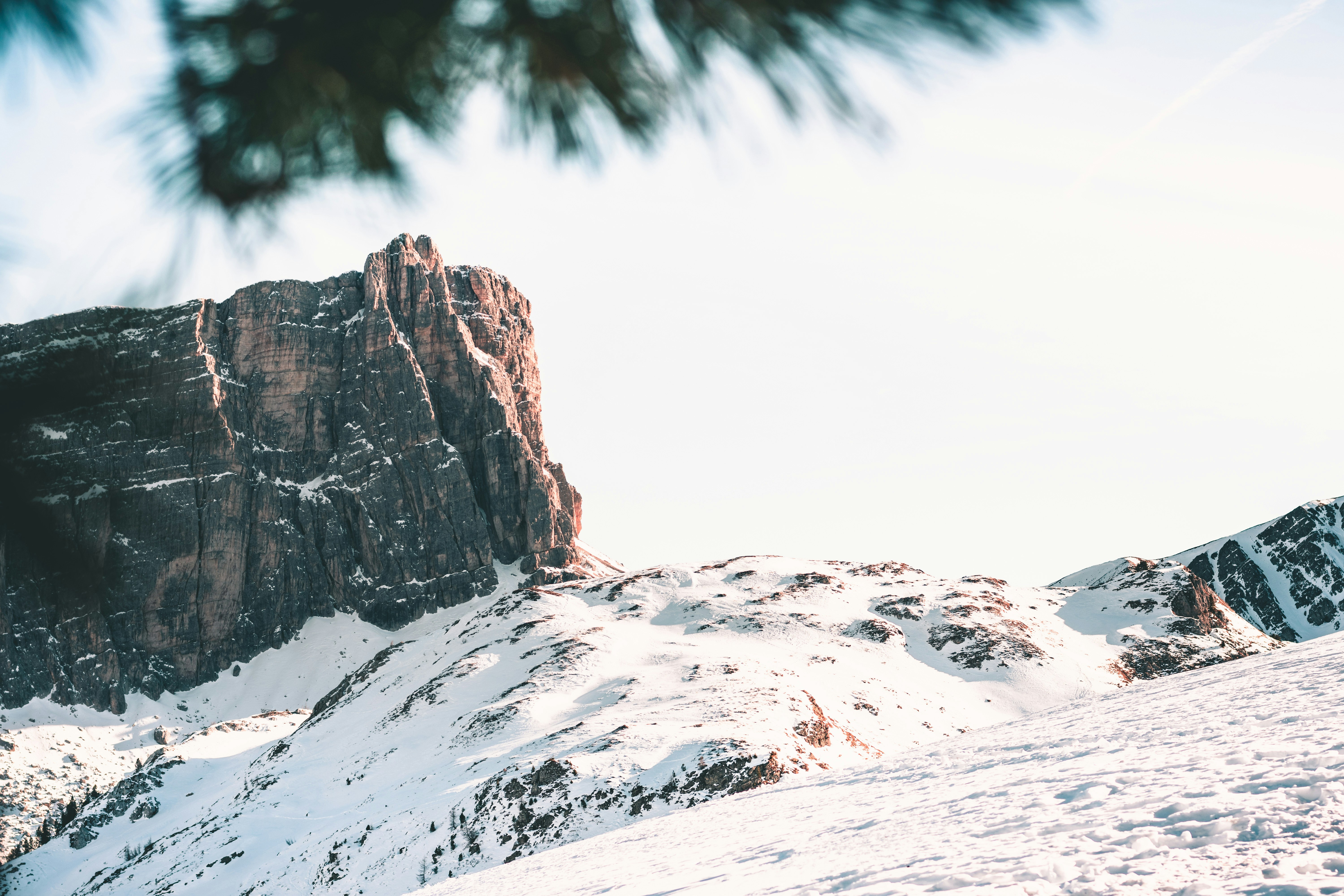 Snow-dusted mountain with a rugged cliff face and pine branch in the foreground.