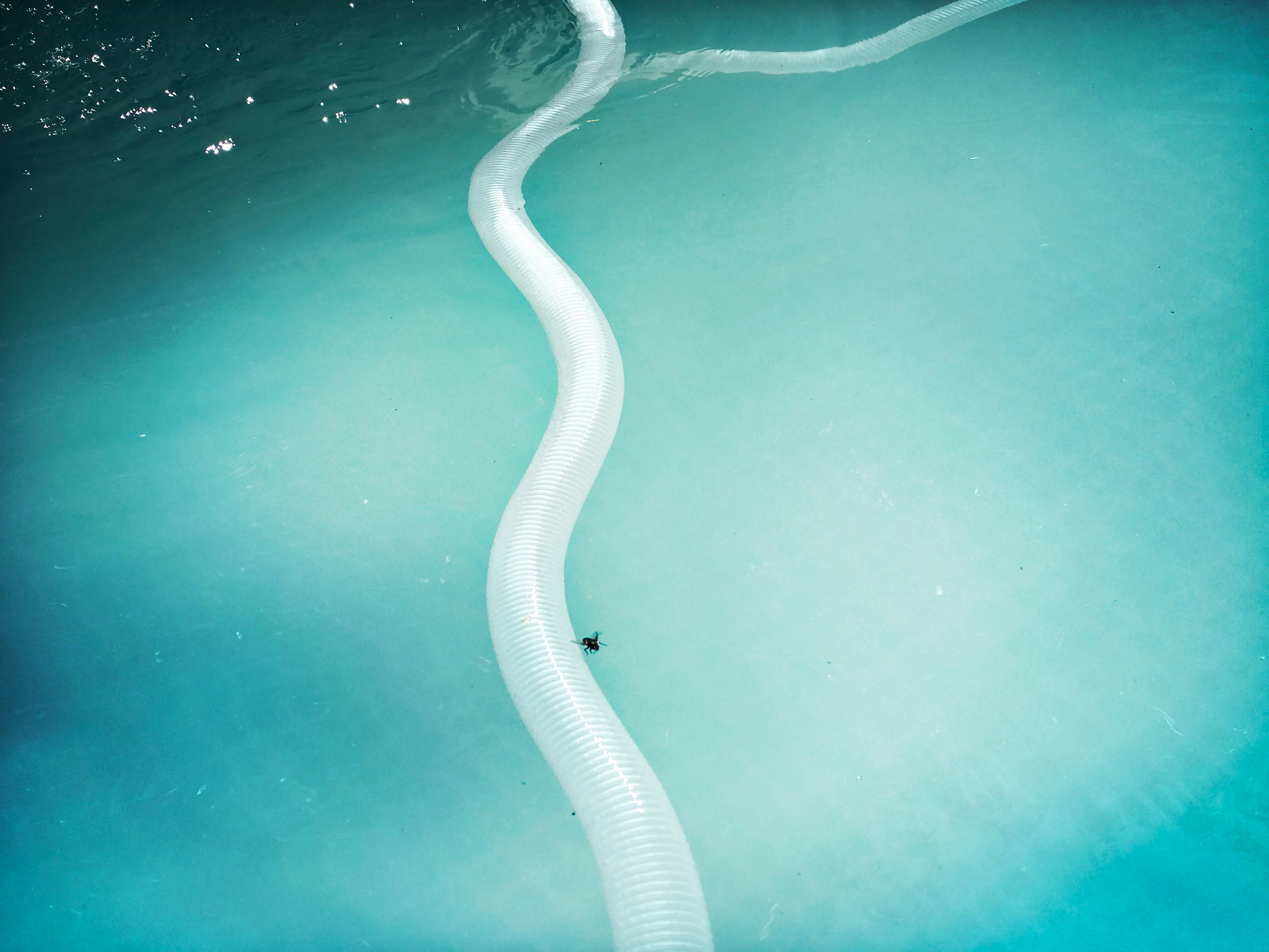 Claudia Mai (@iwanttosee) | Komunitas Foto Unsplash