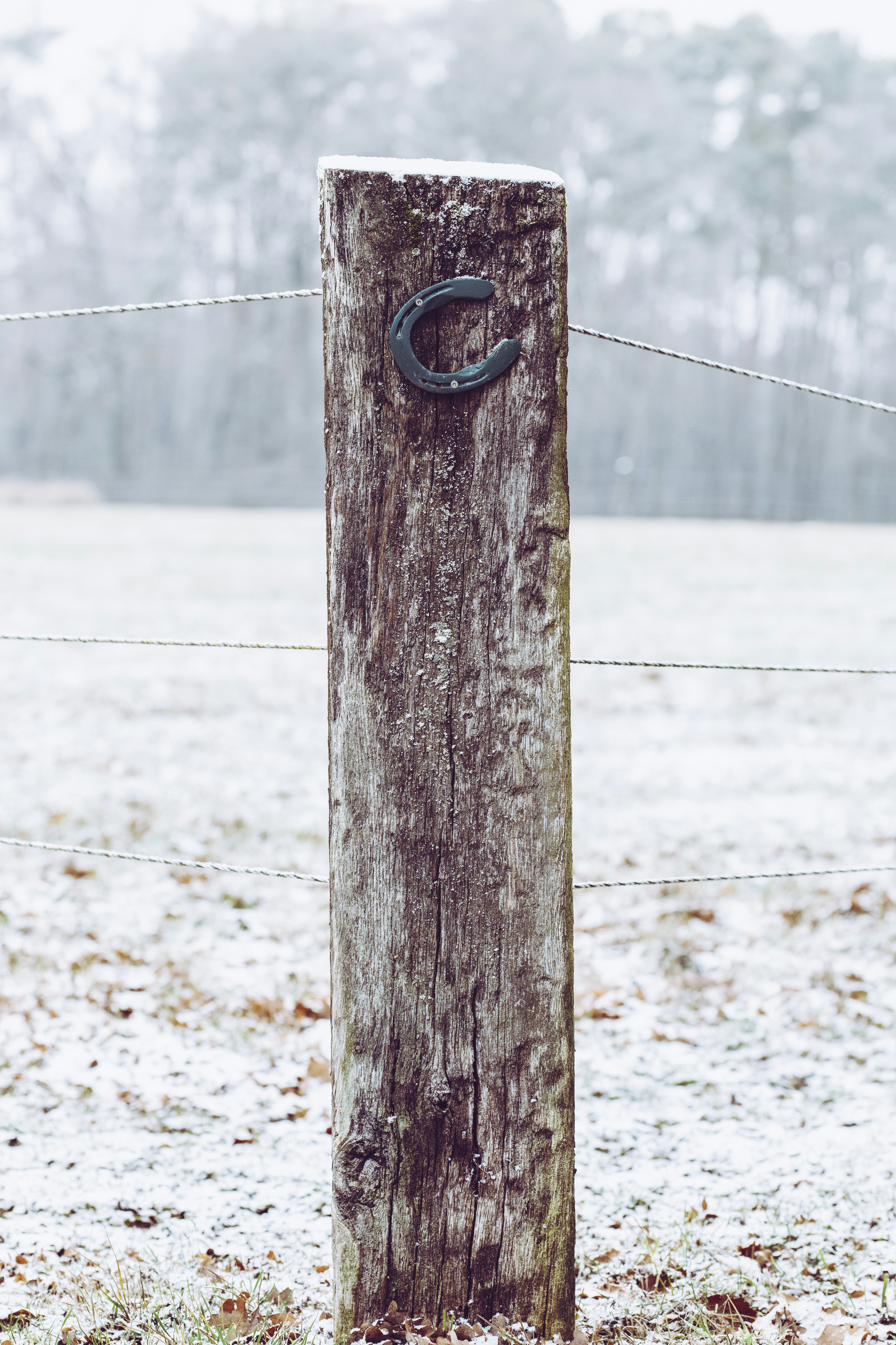 Rustic Emblem of the Past