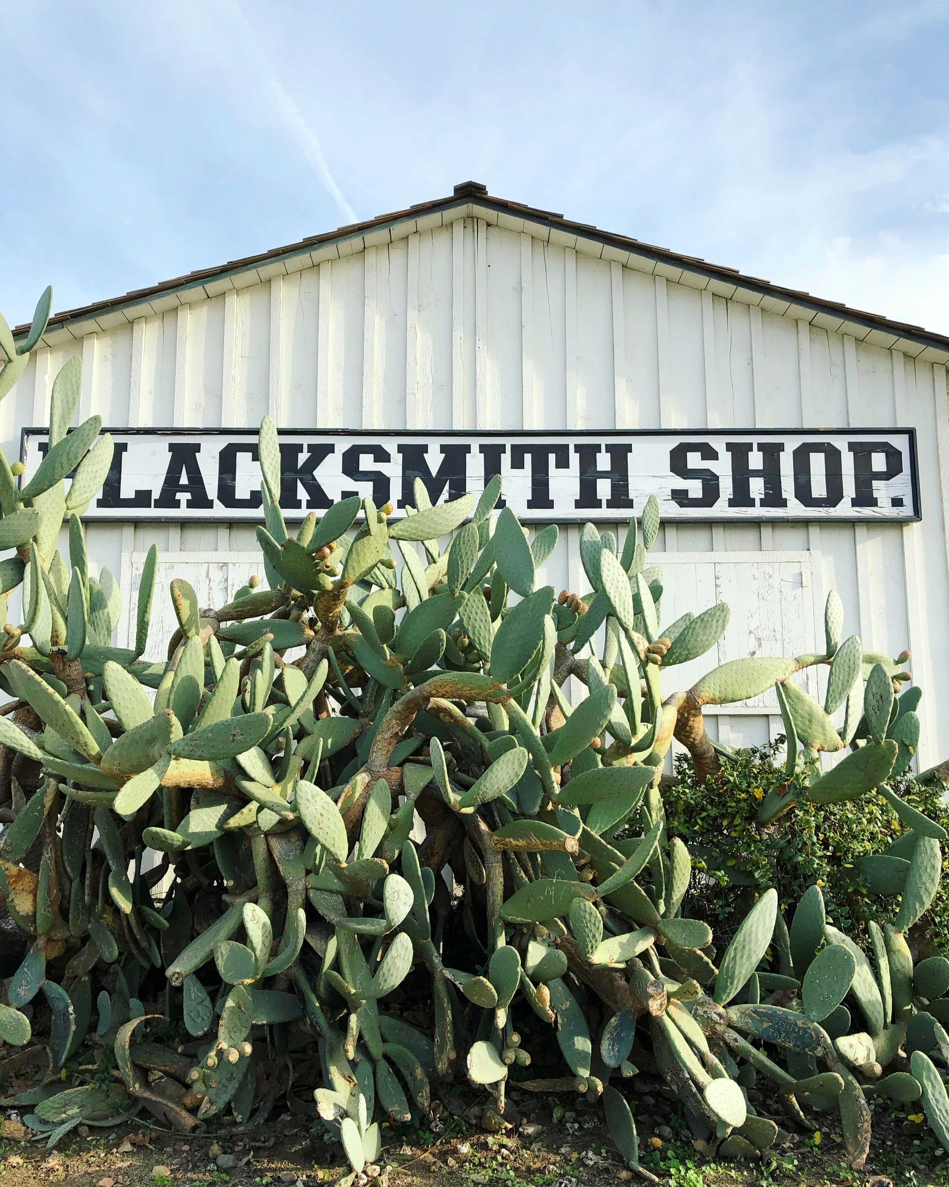 Cactus Curtain Framing a Weathered Blacksmith Shop Sign