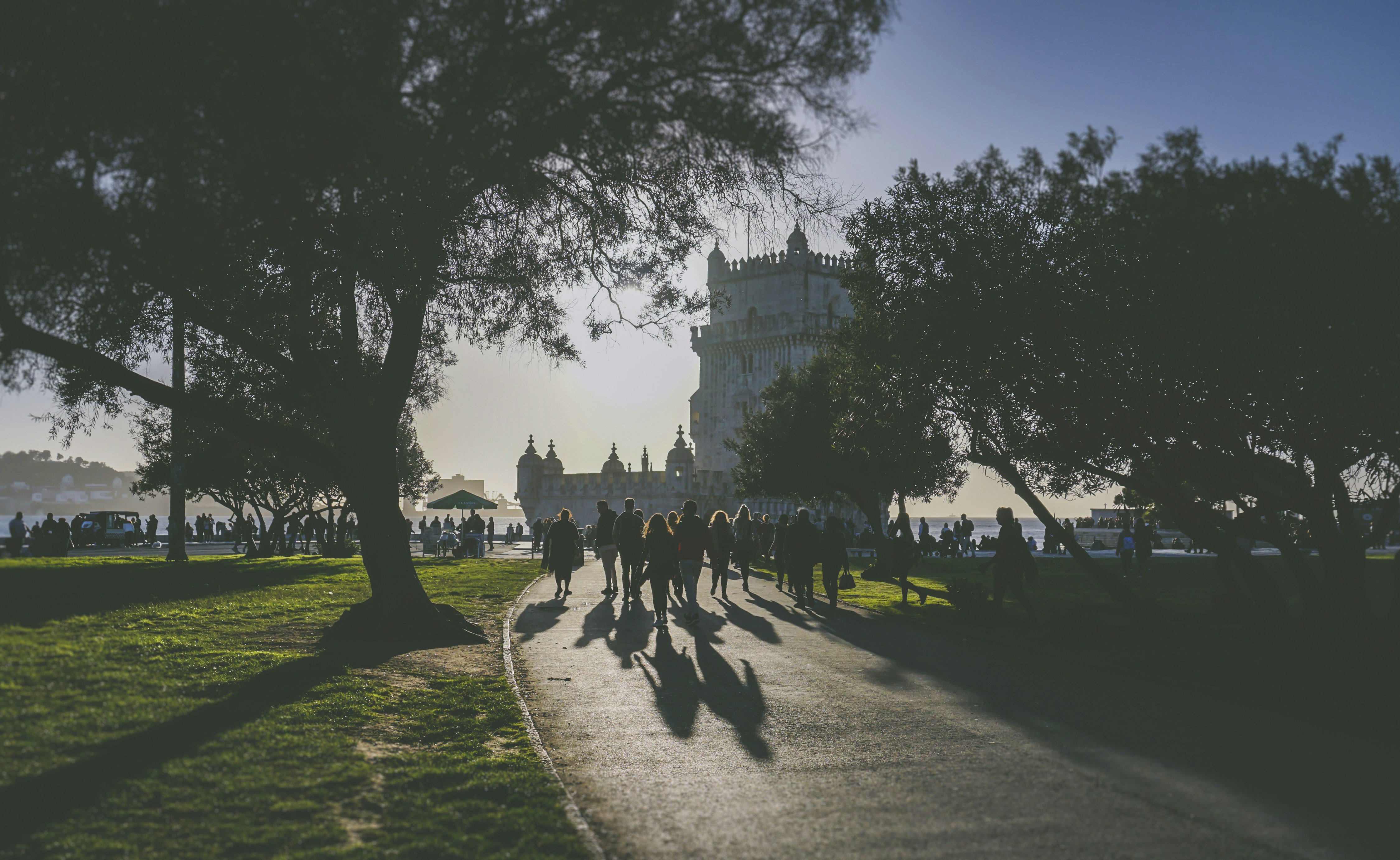 Silhouetted figures walk towards a towering, sunlit castle surrounded by trees.