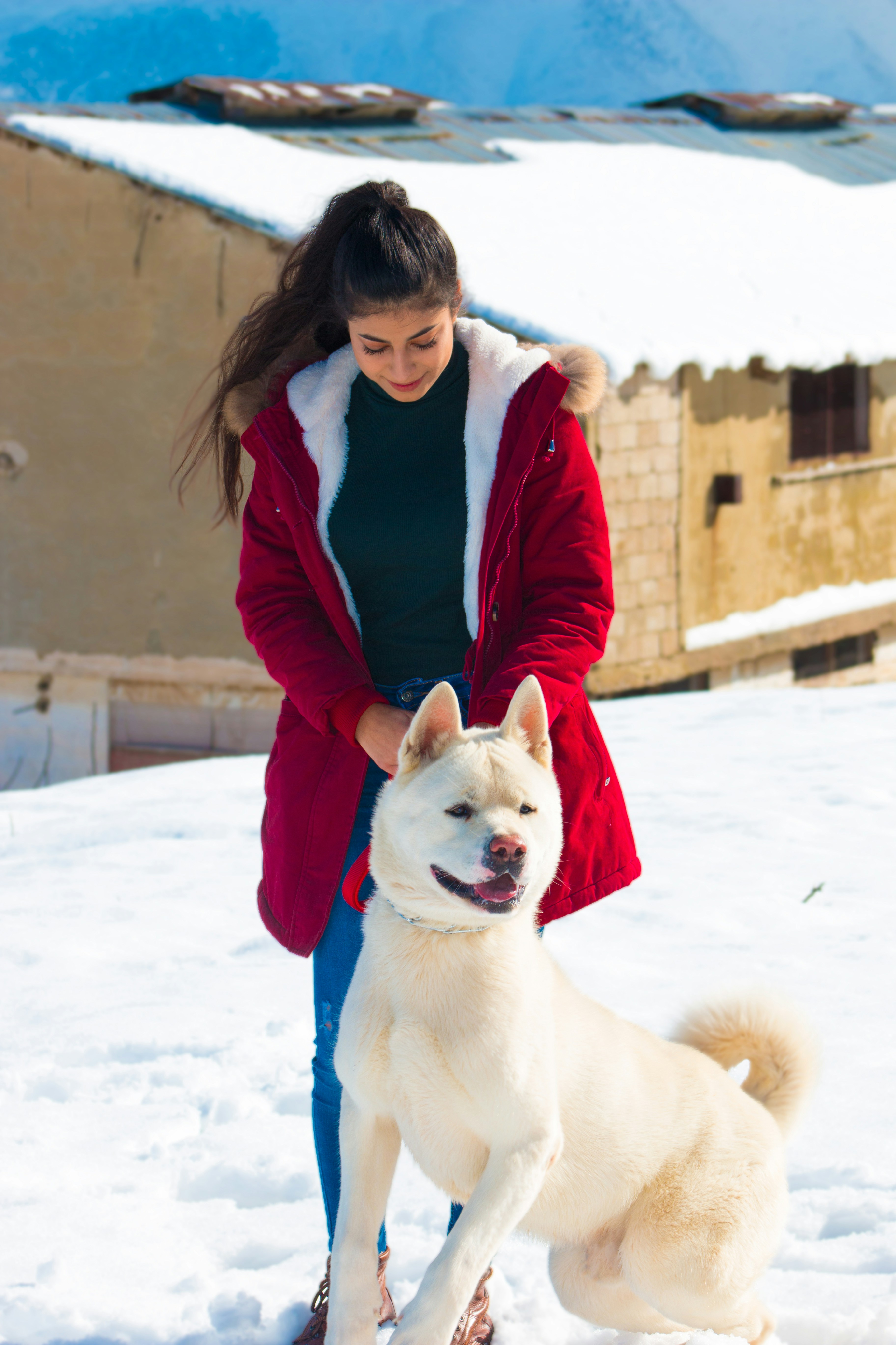 A woman in a red coat interacts playfully with a white dog against a snowy backdrop, highlighting the bond between them.