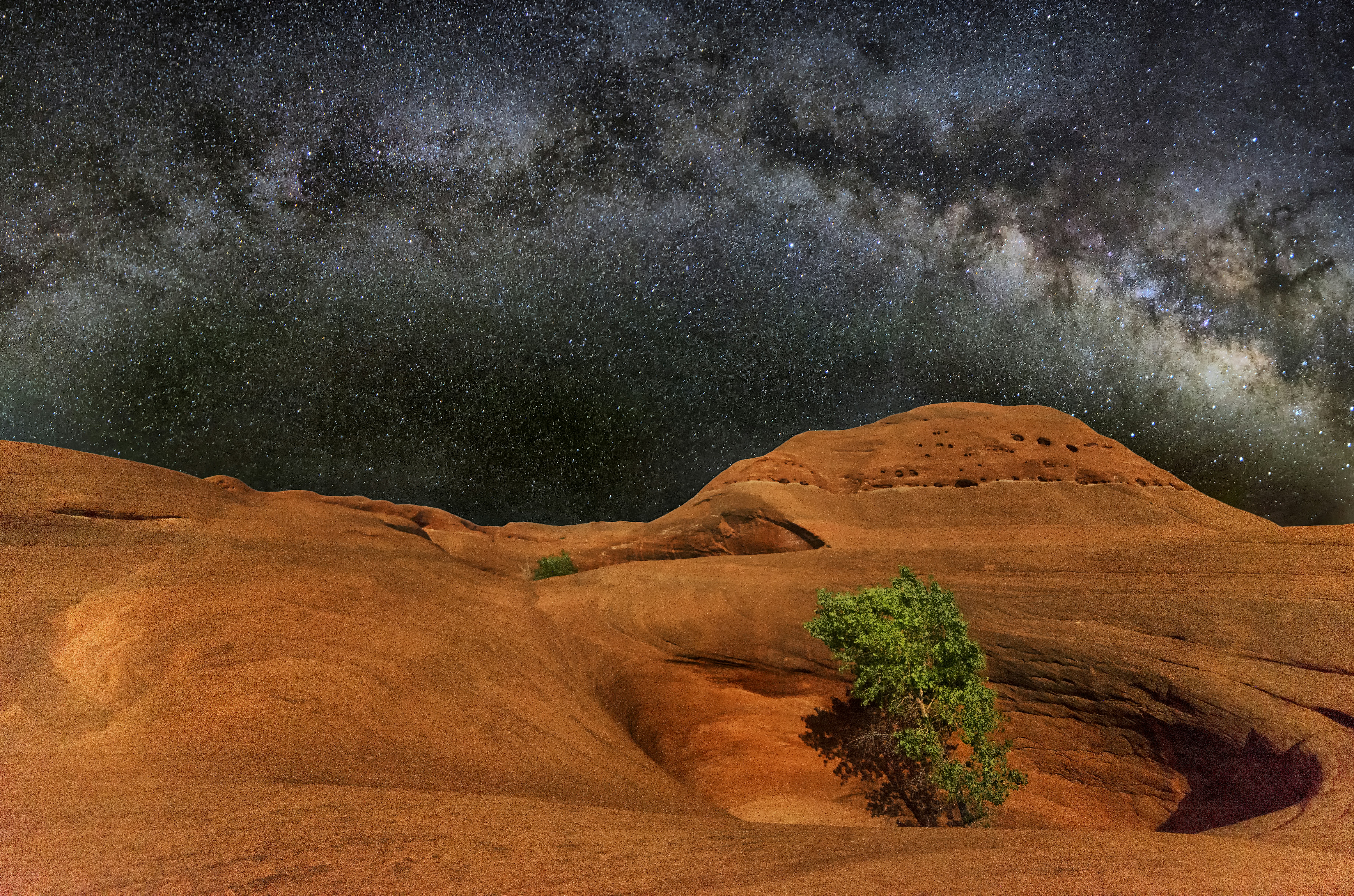 Lone green tree grows on rust-red dunes beneath a star-filled Milky Way. The night landscape emphasizes the contrast between warm rock and the cool, star-studded sky.