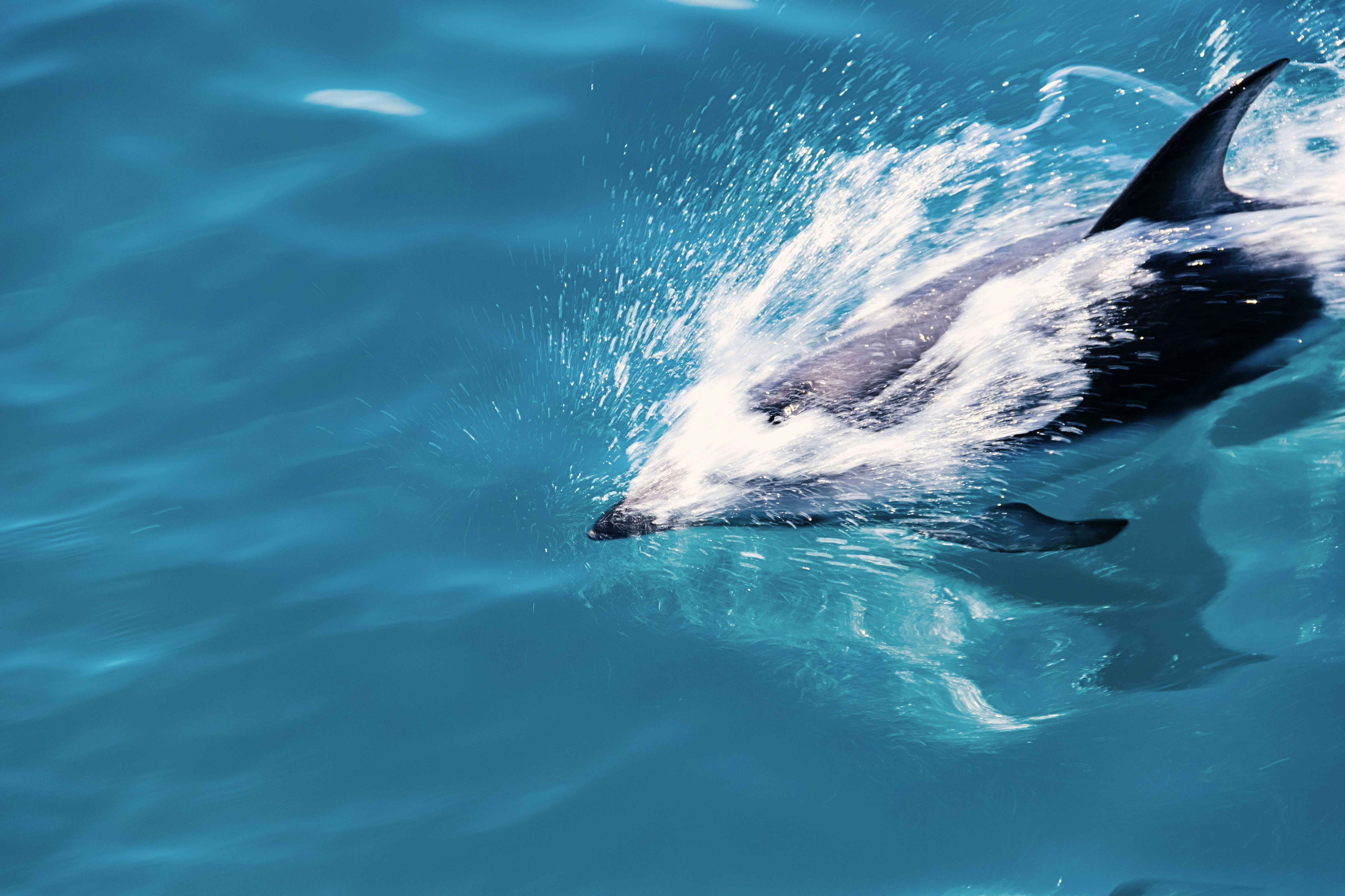 John Bakator (@jxb511) | Comunidad de fotos de Unsplash