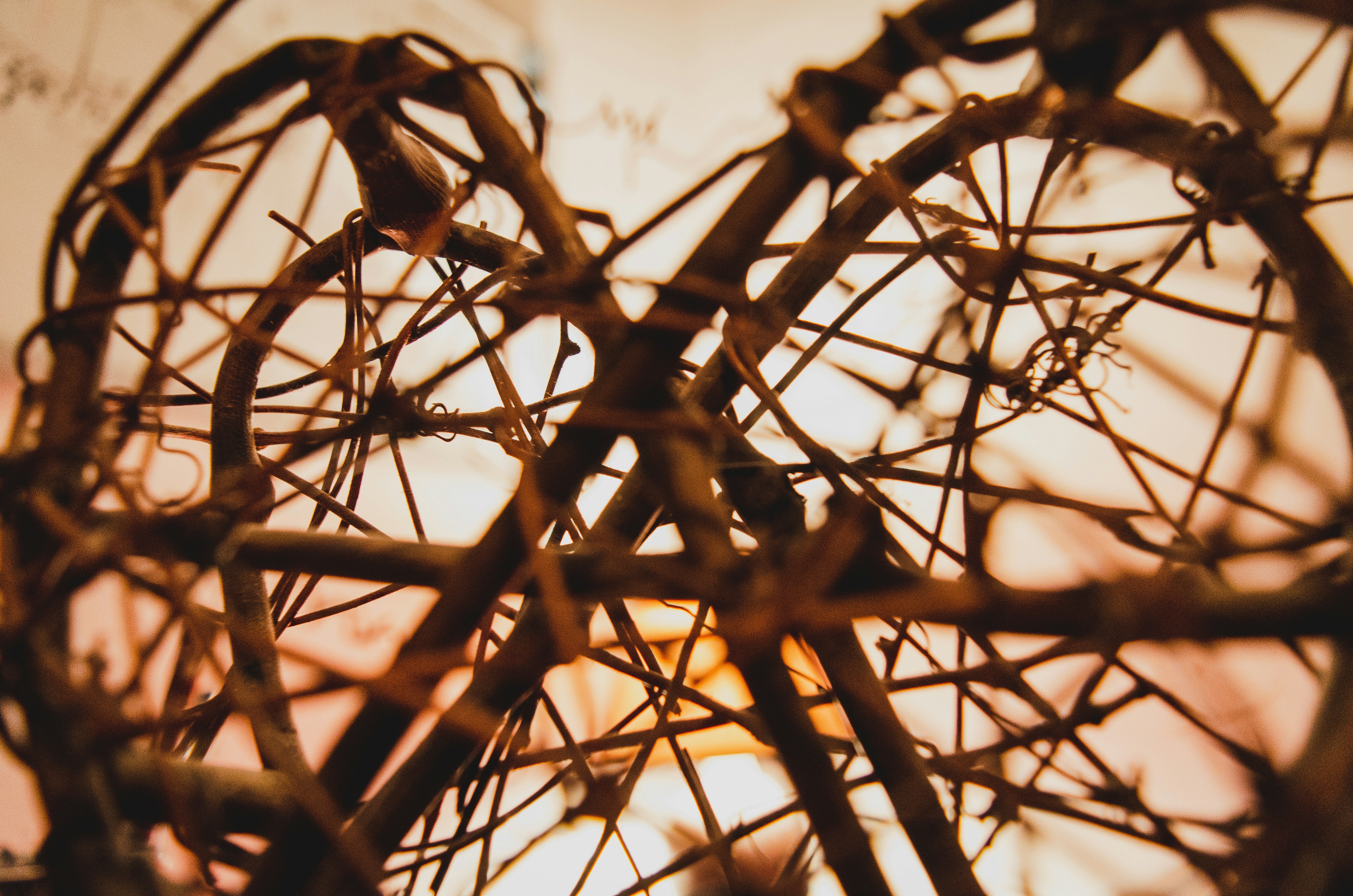Emberlit Tangle: Close-Up of Barbed Wire at Dusk