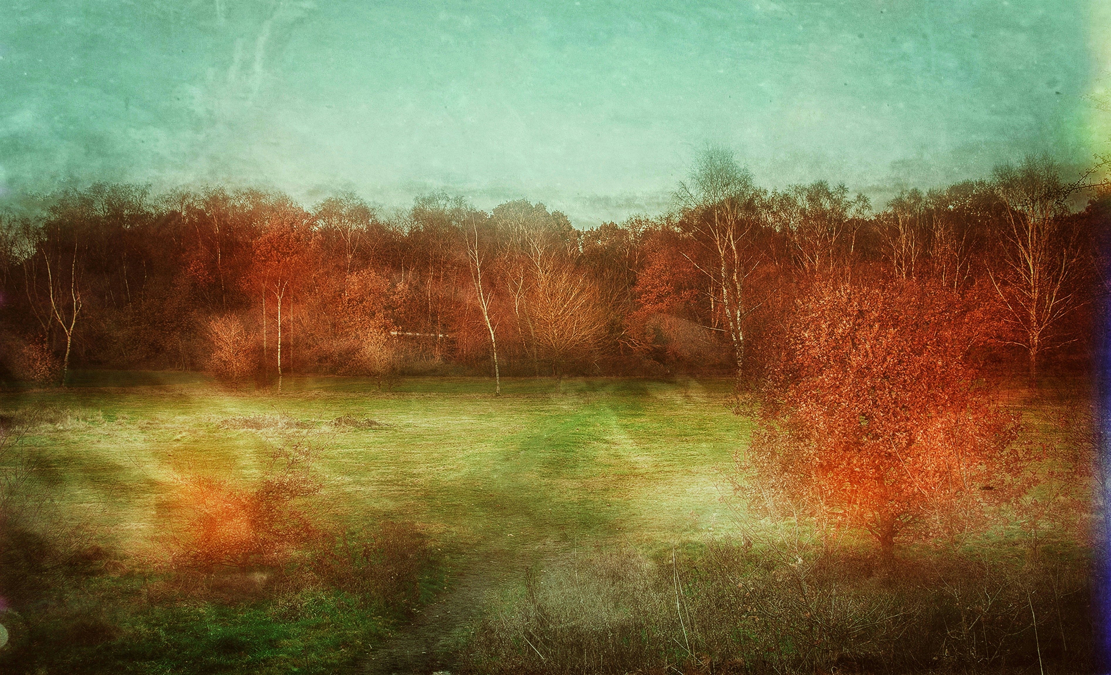 Soft, painterly landscape with a line of trees in warm autumn tones and a grassy foreground; the image has a dreamy, vignetted overlay suggesting long exposure or multiple exposure layering. Logo/marking not evident; appears as a photographic print with artful color distortions.