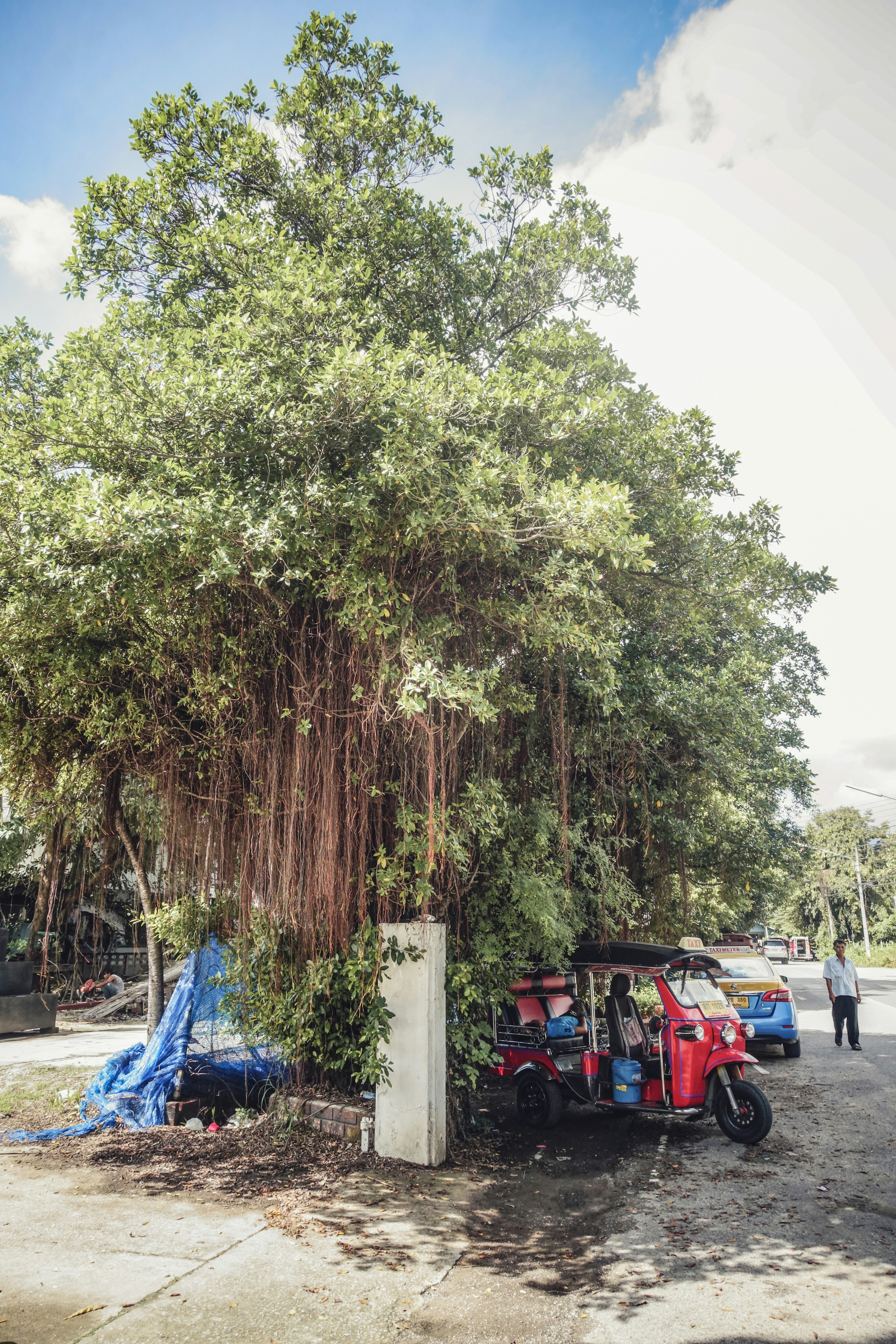 red and black autorickshaw parked beside tree at daytime
