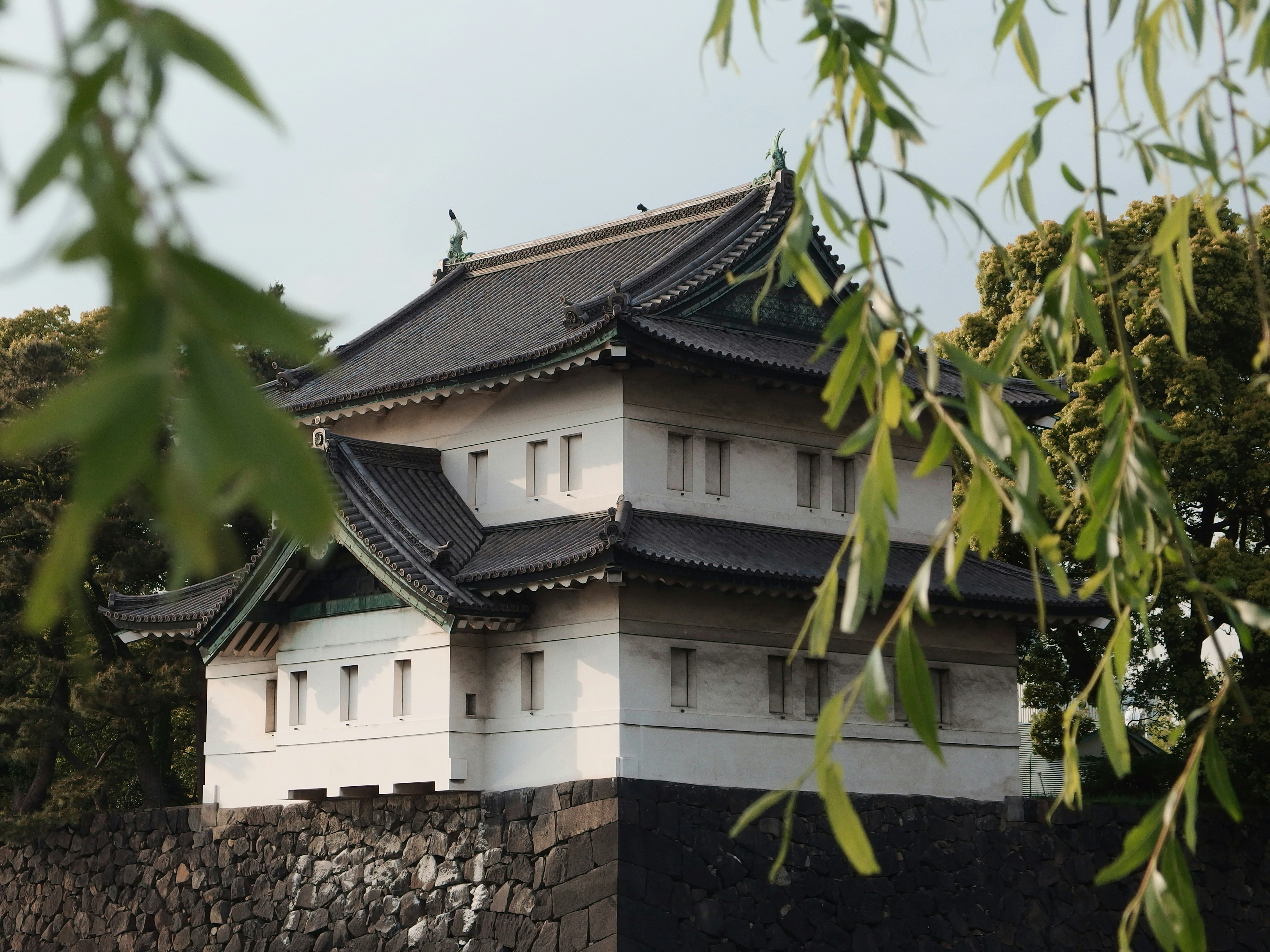 White-walled keep perched on a dark stone base with tiered black-tiled roofs. Framed by overhanging branches in the foreground.