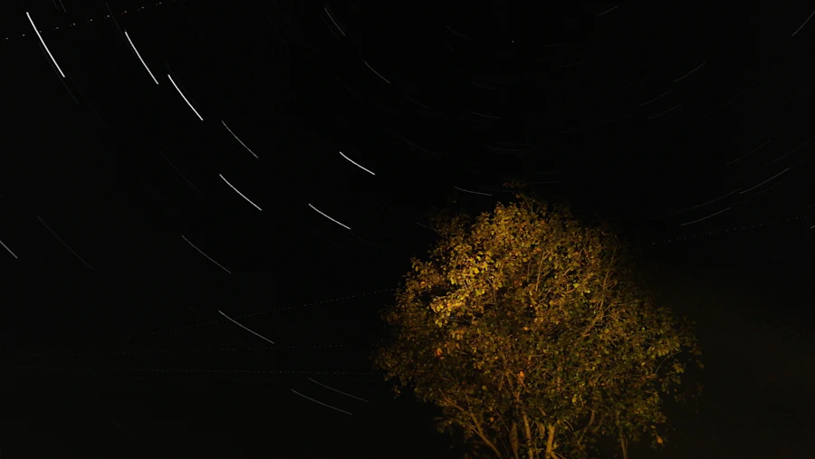 Long-exposure star trails arc across a dark sky above a warmly lit tree at the bottom right. The scene is mostly black, with the tree’s leaves catching a golden glow.