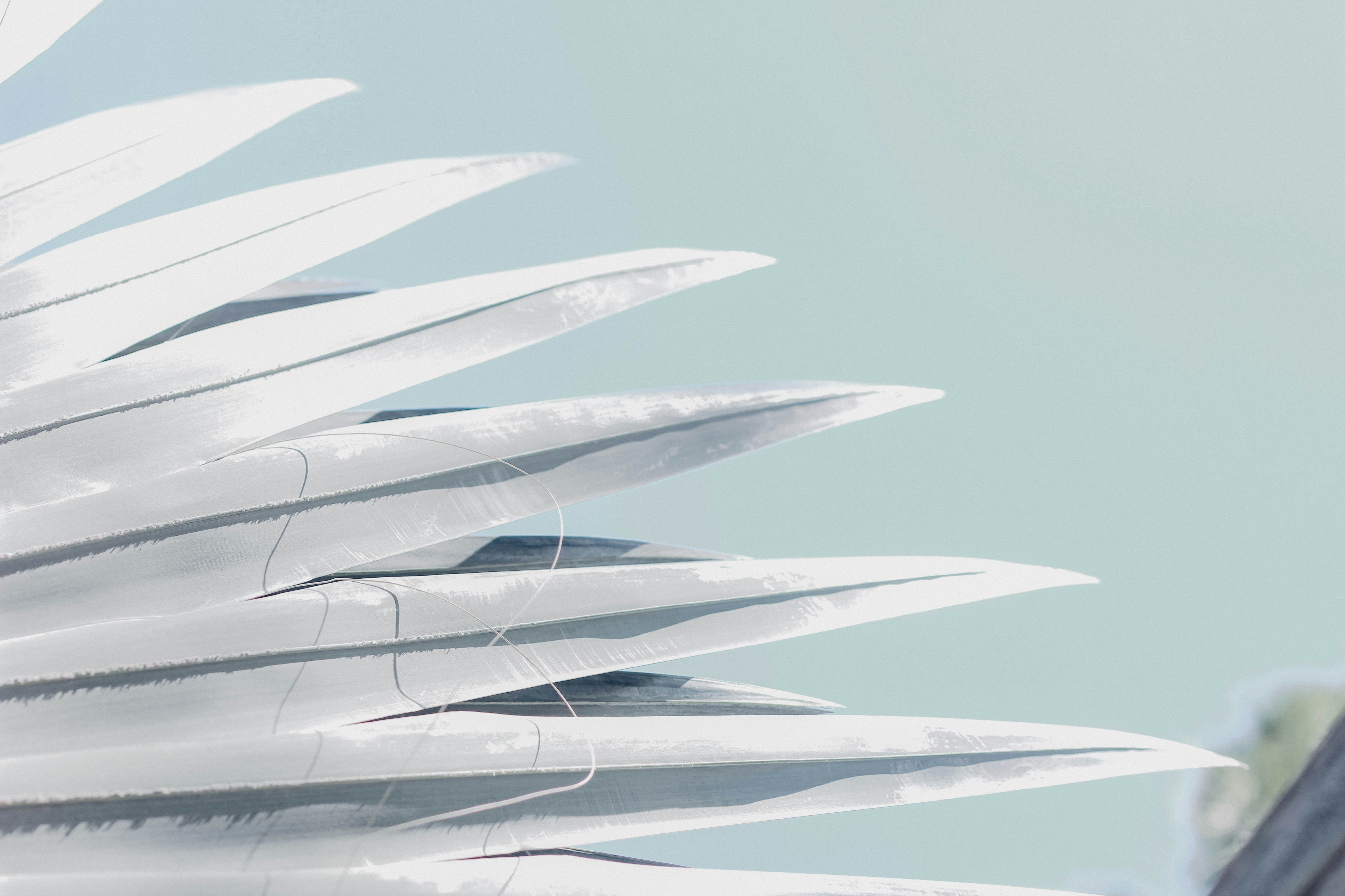 Frosted Fronds in a Pale Aquamarine Quiet.