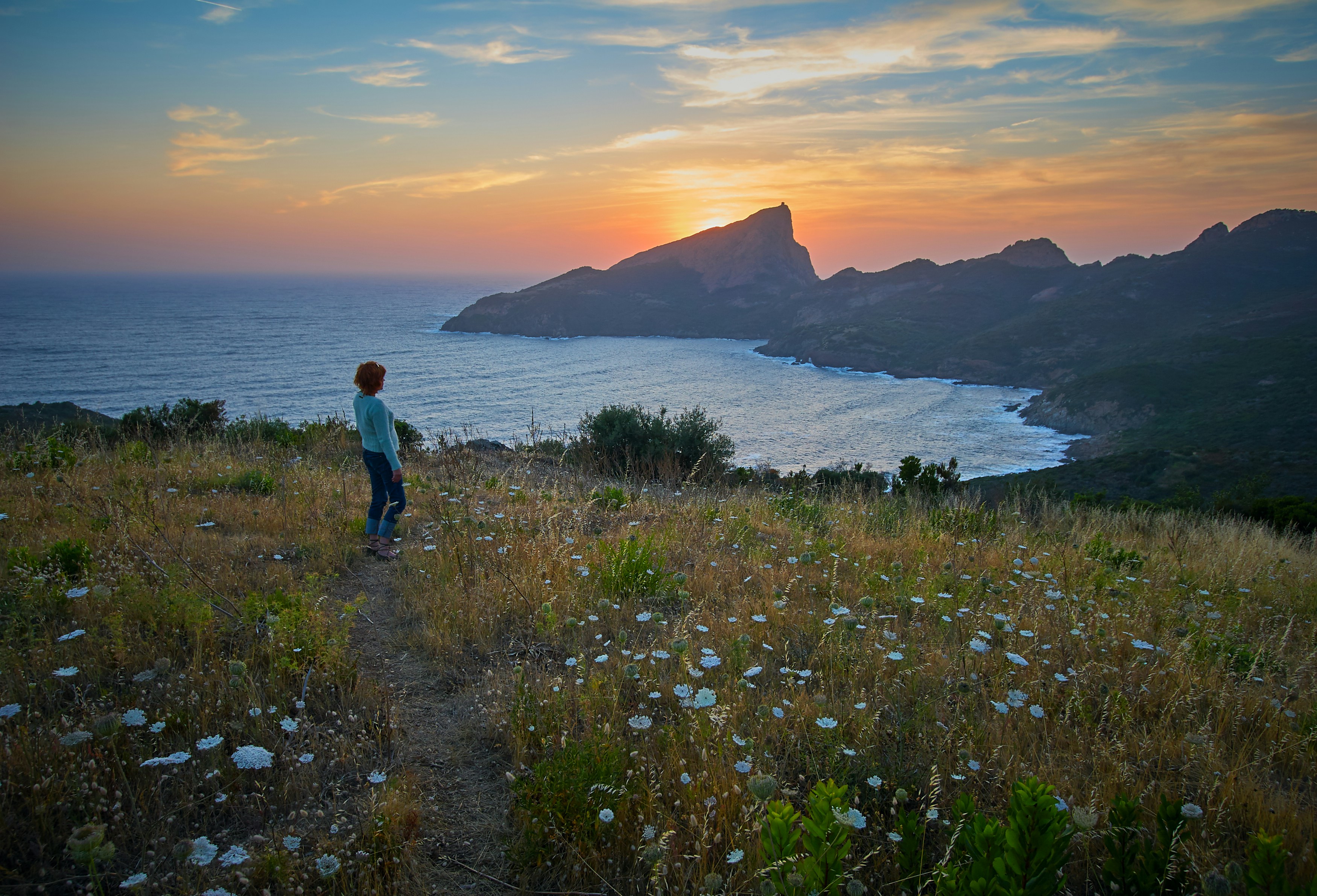 A person stands on a grassy hillside adorned with wildflowers, gazing at the sunset over a tranquil sea and rugged coastline.