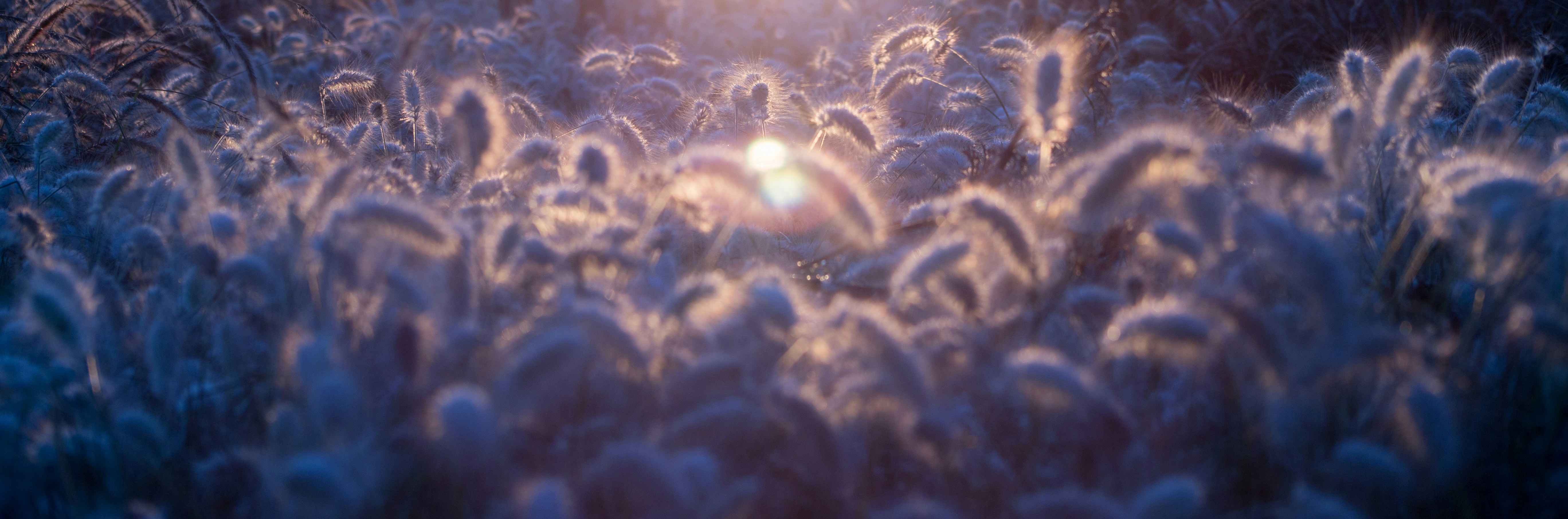 Eve Teams Background