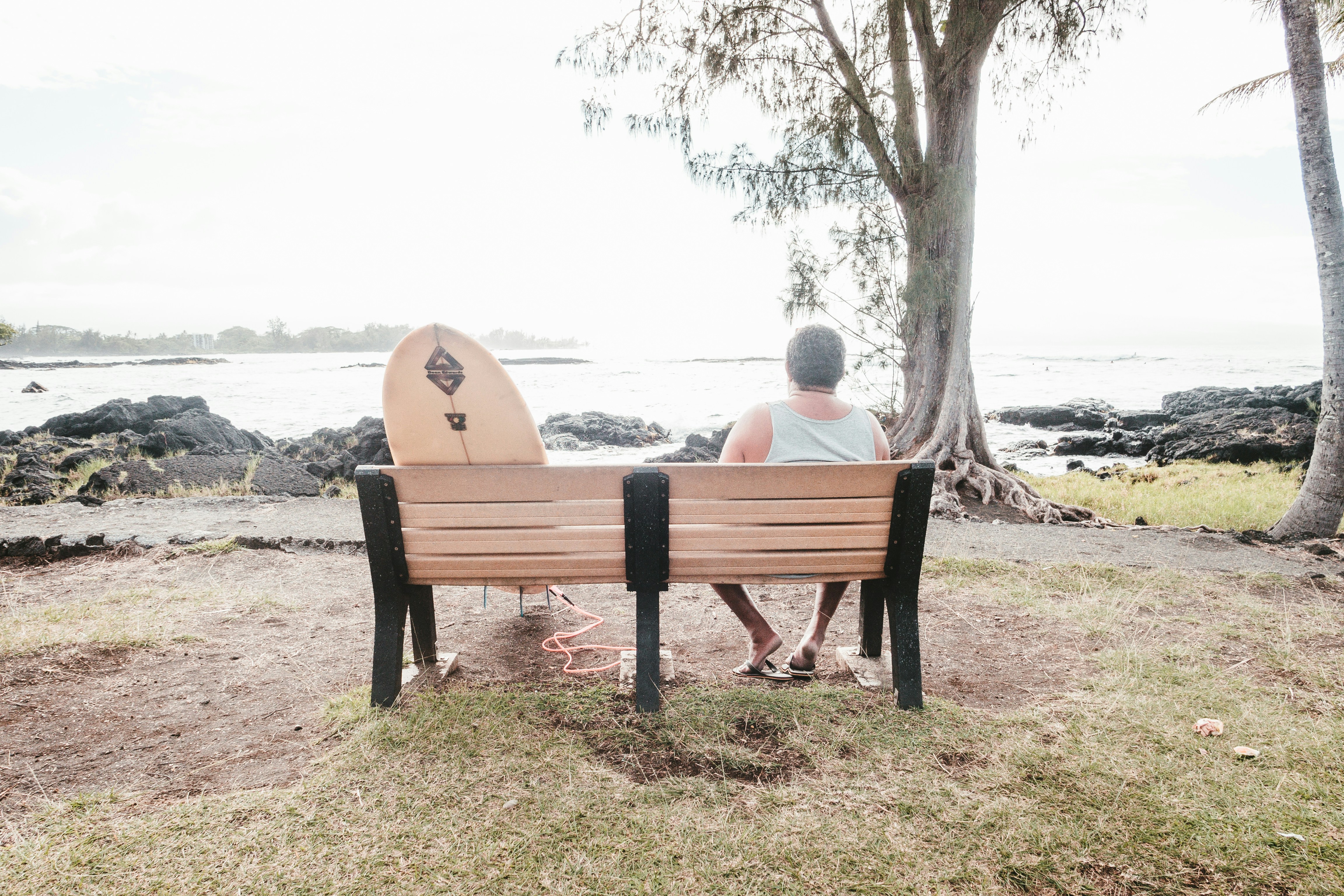 Benchside by the Tidal Edge: A Surfer Pauses by the Shore