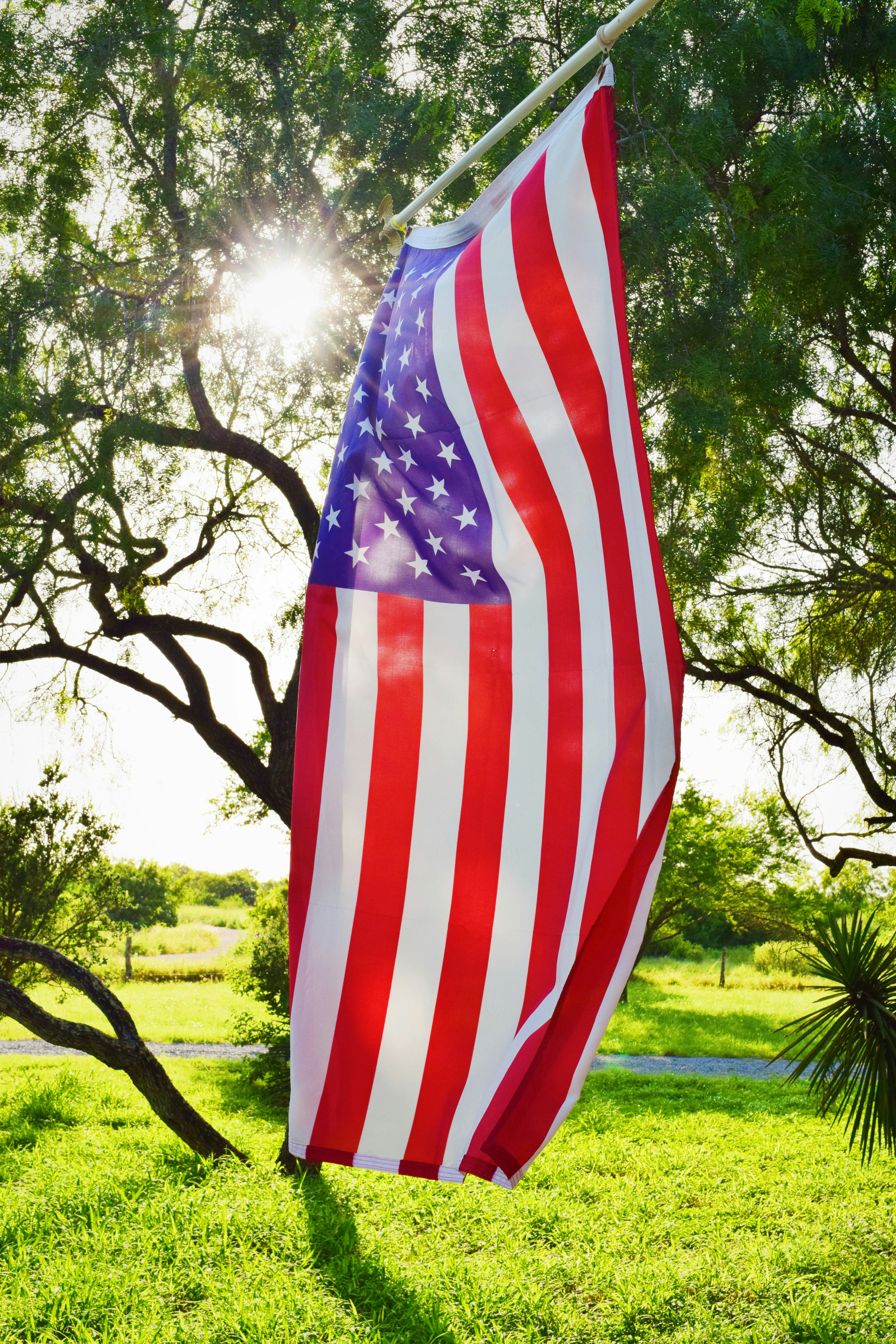 Sunlit Stripes: An American Flag Draped Against a Verdant Park Backdrop