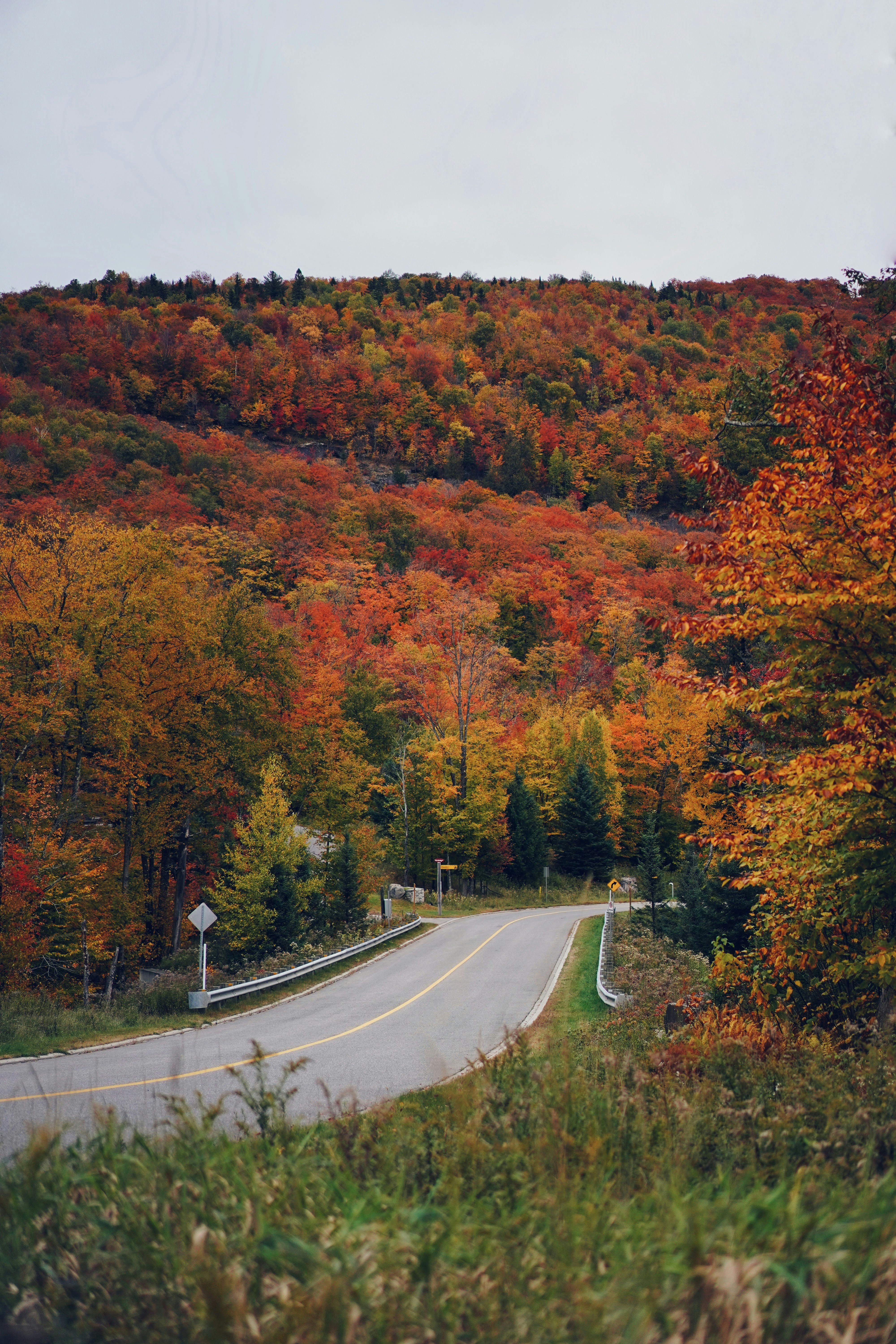 Winding road through a forest ablaze with fall foliage of reds, oranges, and yellows.