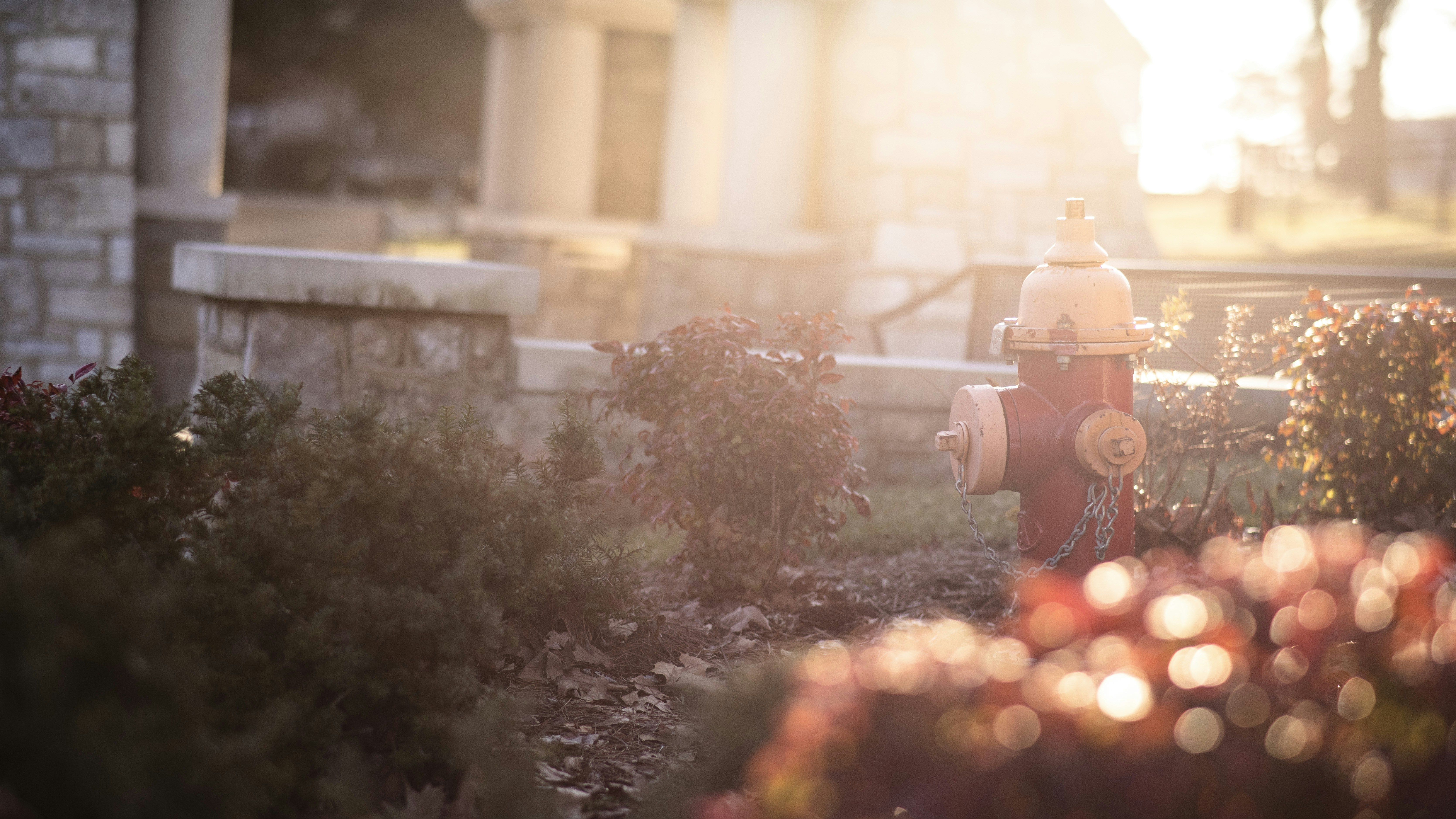 Sunlit Hydrant in a Stone Courtyard: Quiet Geometry and Bokeh