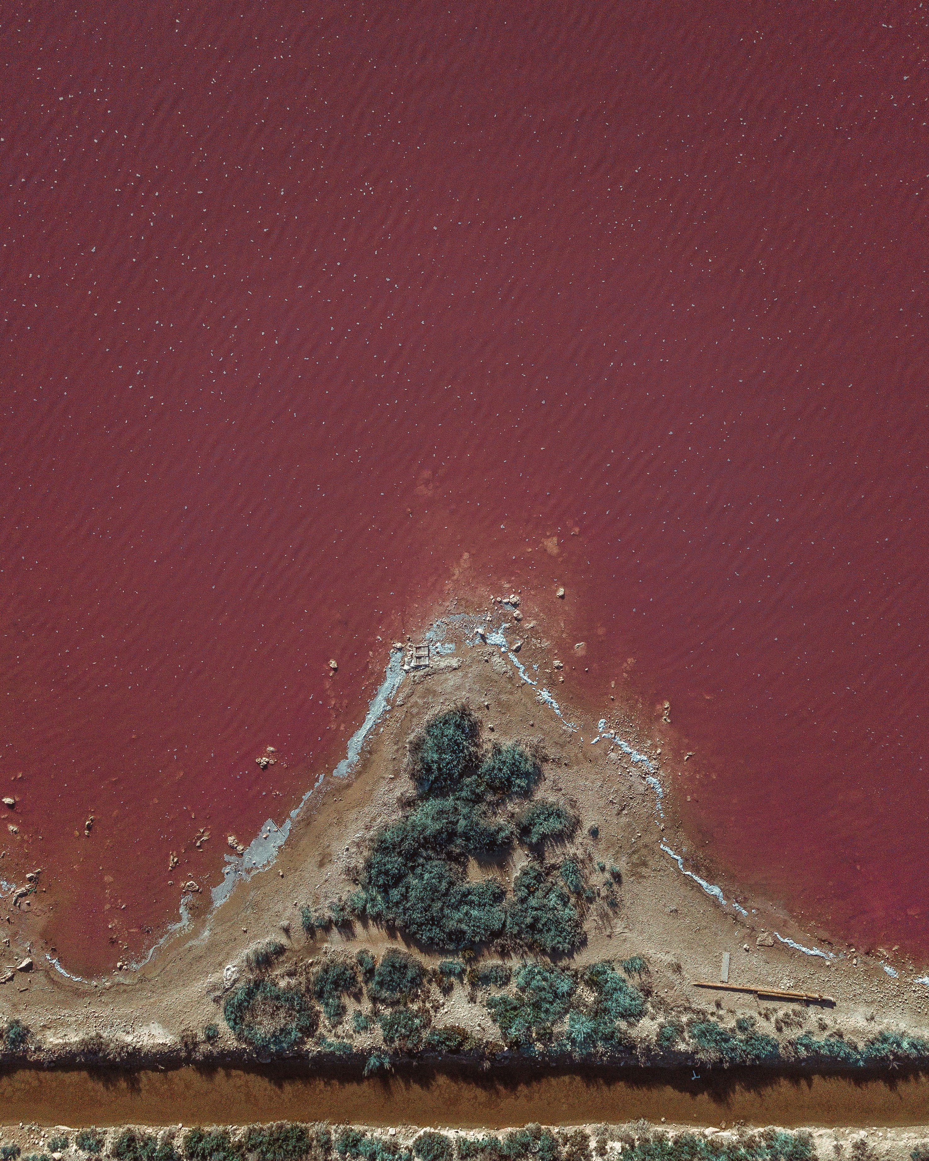 Une vue aérienne d’un lac rouge avec un arbre au milieu photo – Photo ...
