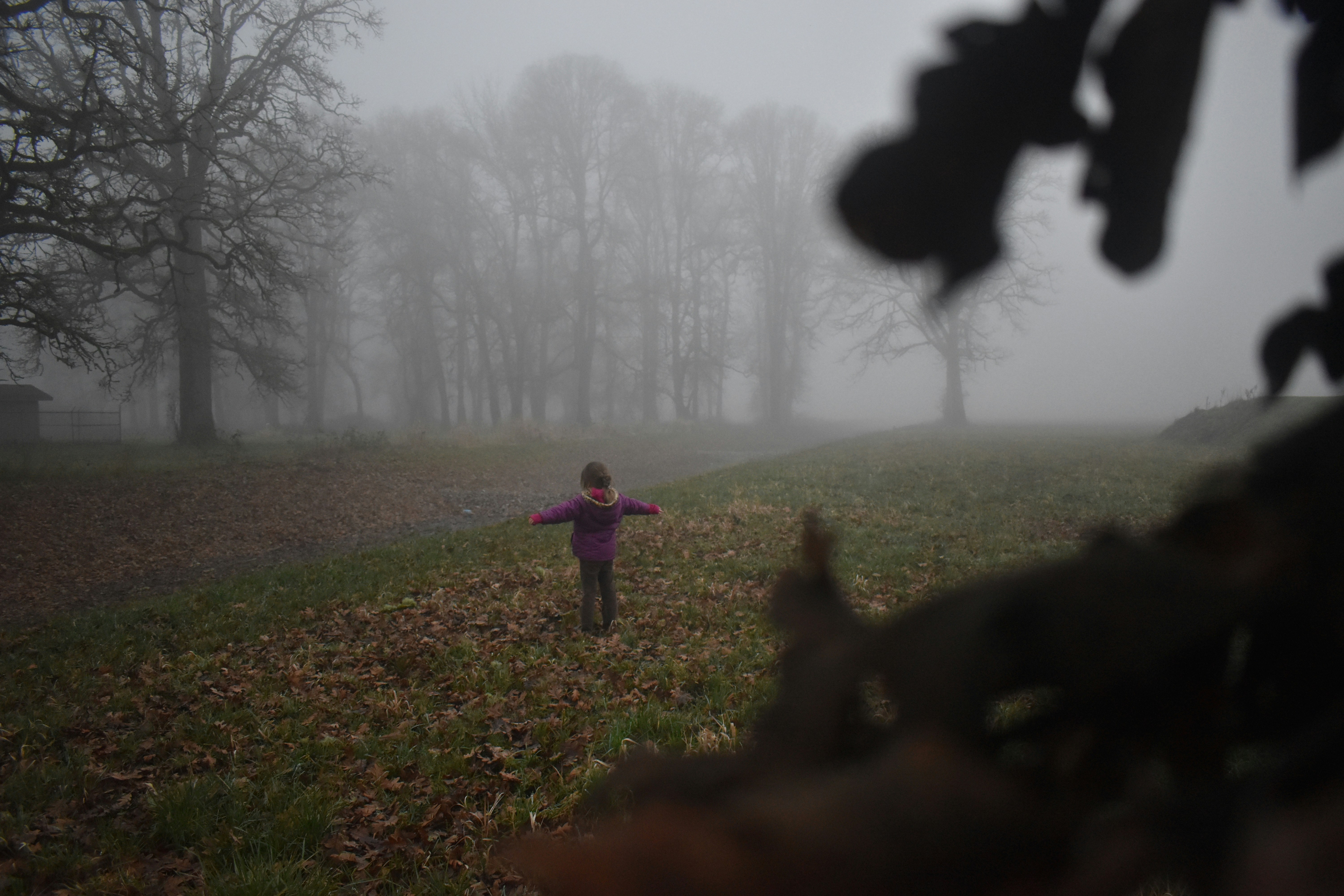 Mist-Layered Field: A Child Reaches into the Fog