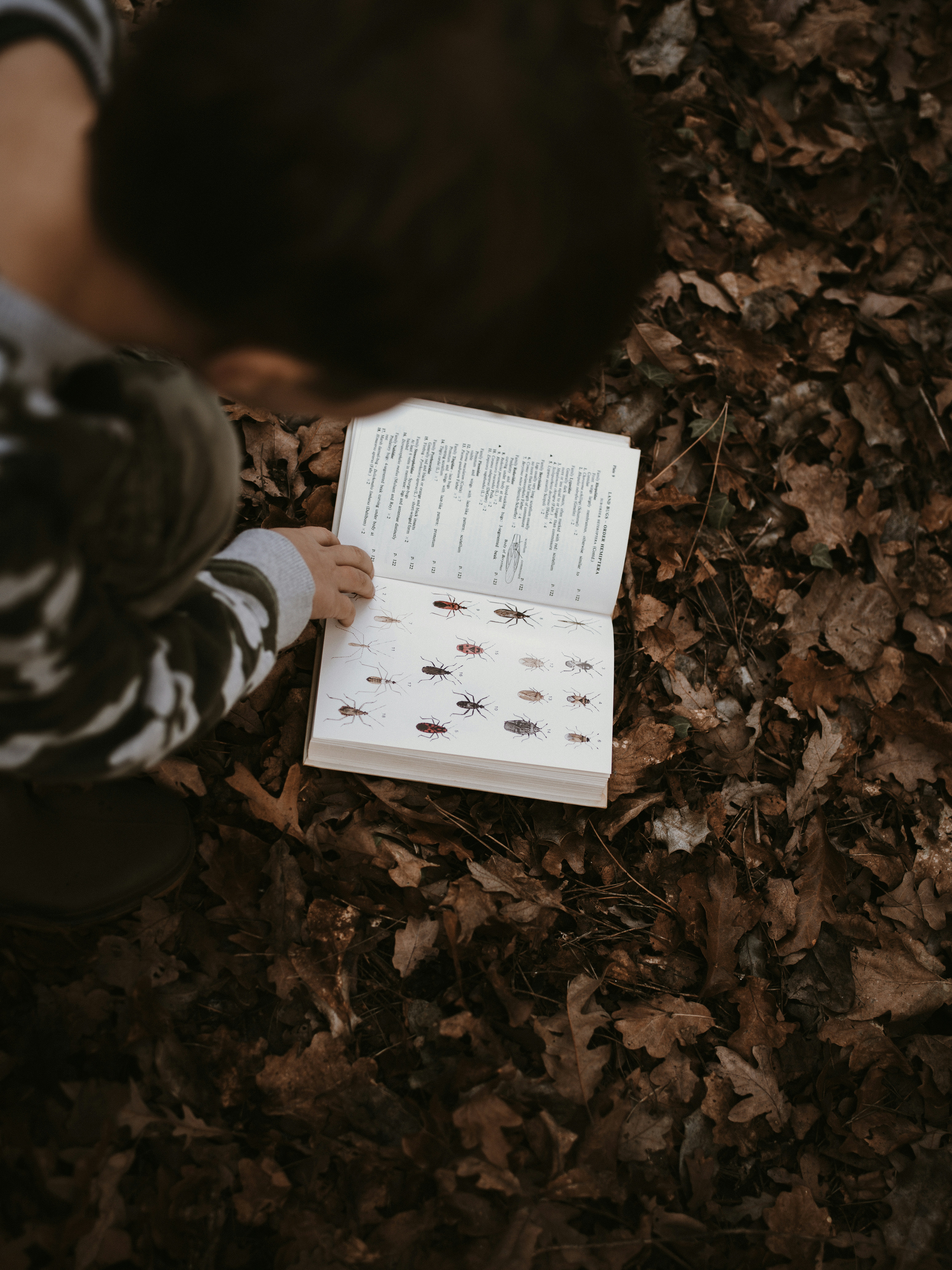 Photo by Annie Spratt with Ricoh PENTAX 645Z