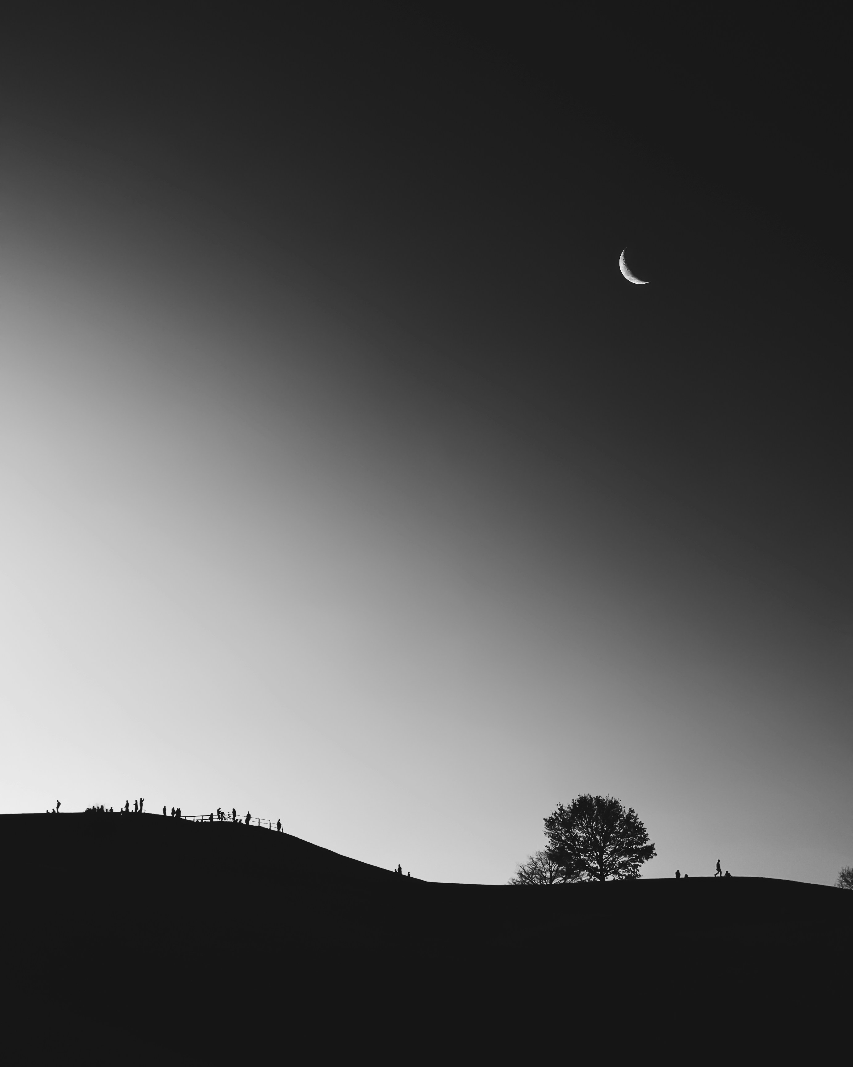 Sunset Moon Pictures | Download Free Images on Unsplash
