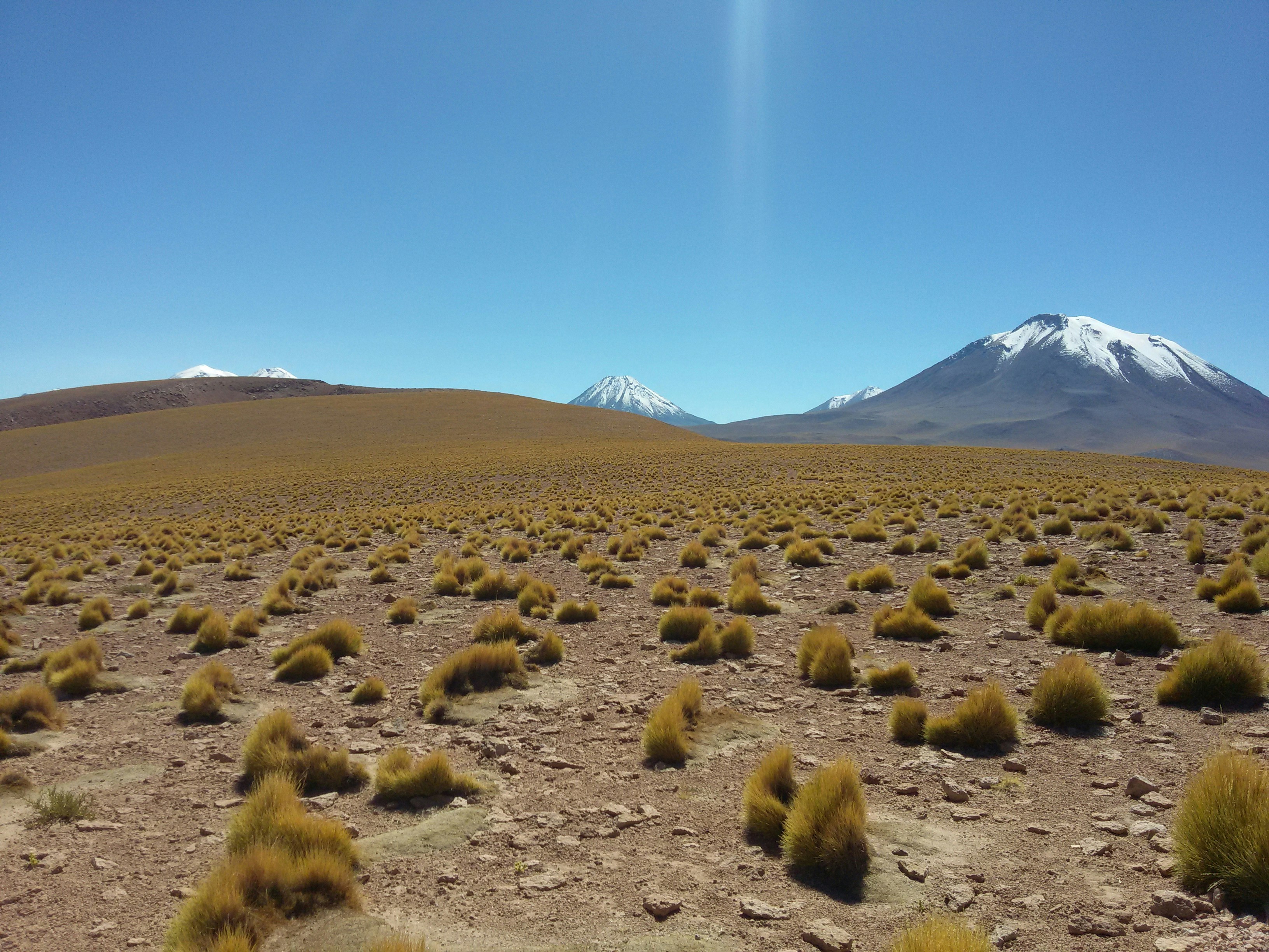 Vast Altiplano with Snow-capped Peaks Under a Bright Sky