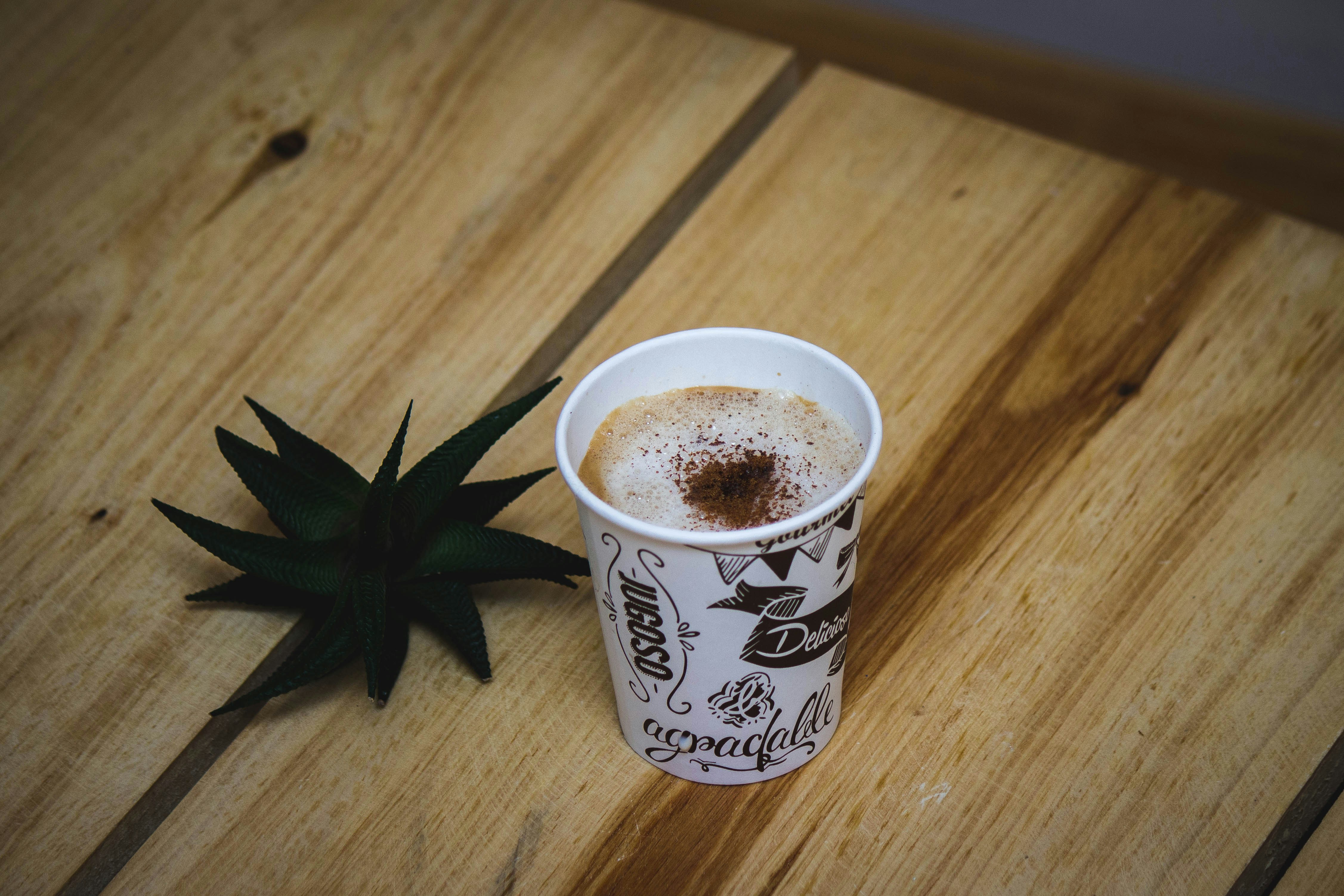 A decorative paper cup filled with a frothy beverage sits on a wooden table beside a green succulent plant.