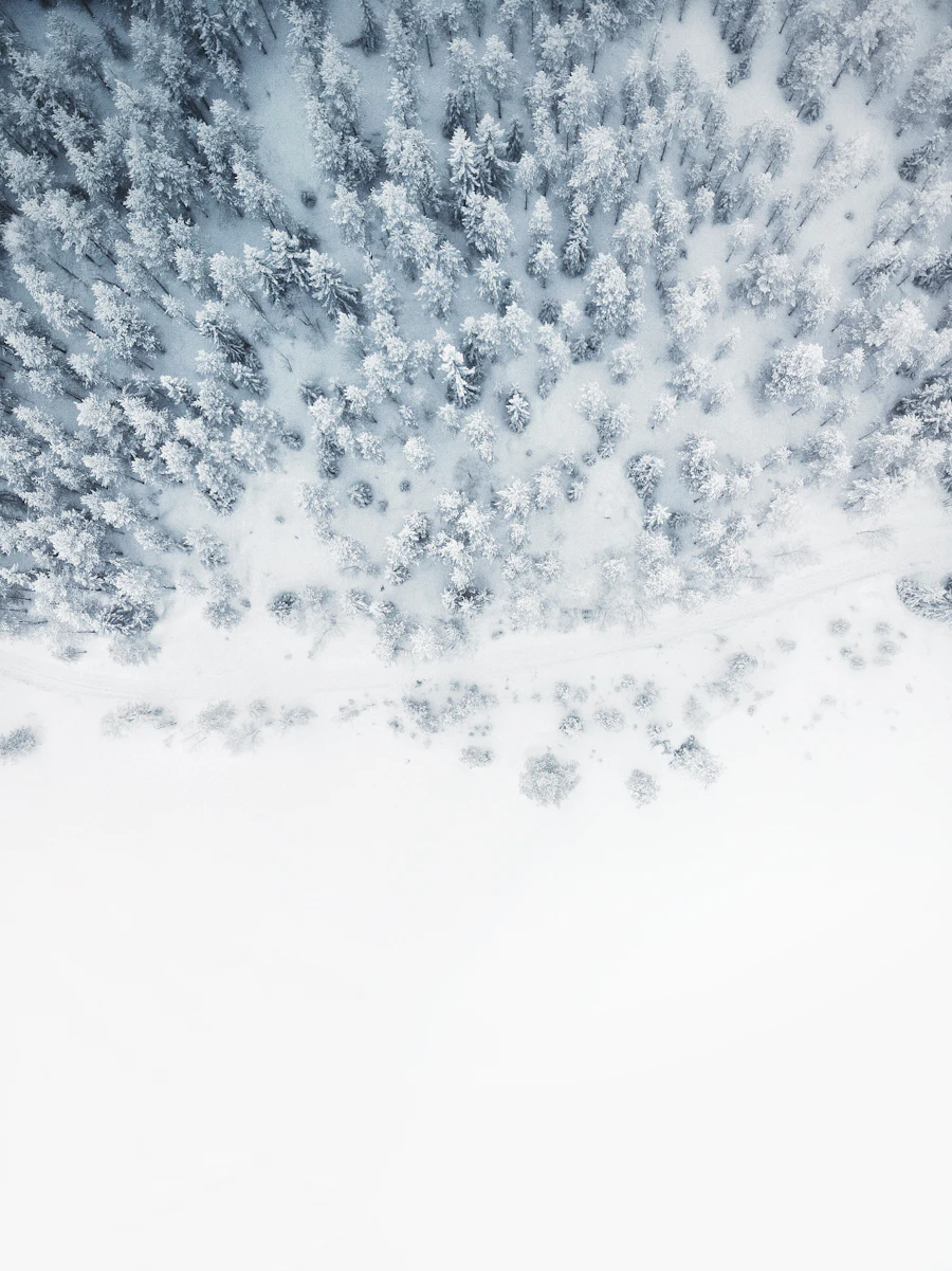 Cold white winter landscape from above with snowy trees gradient. | aerial photo of snow covered tree lot