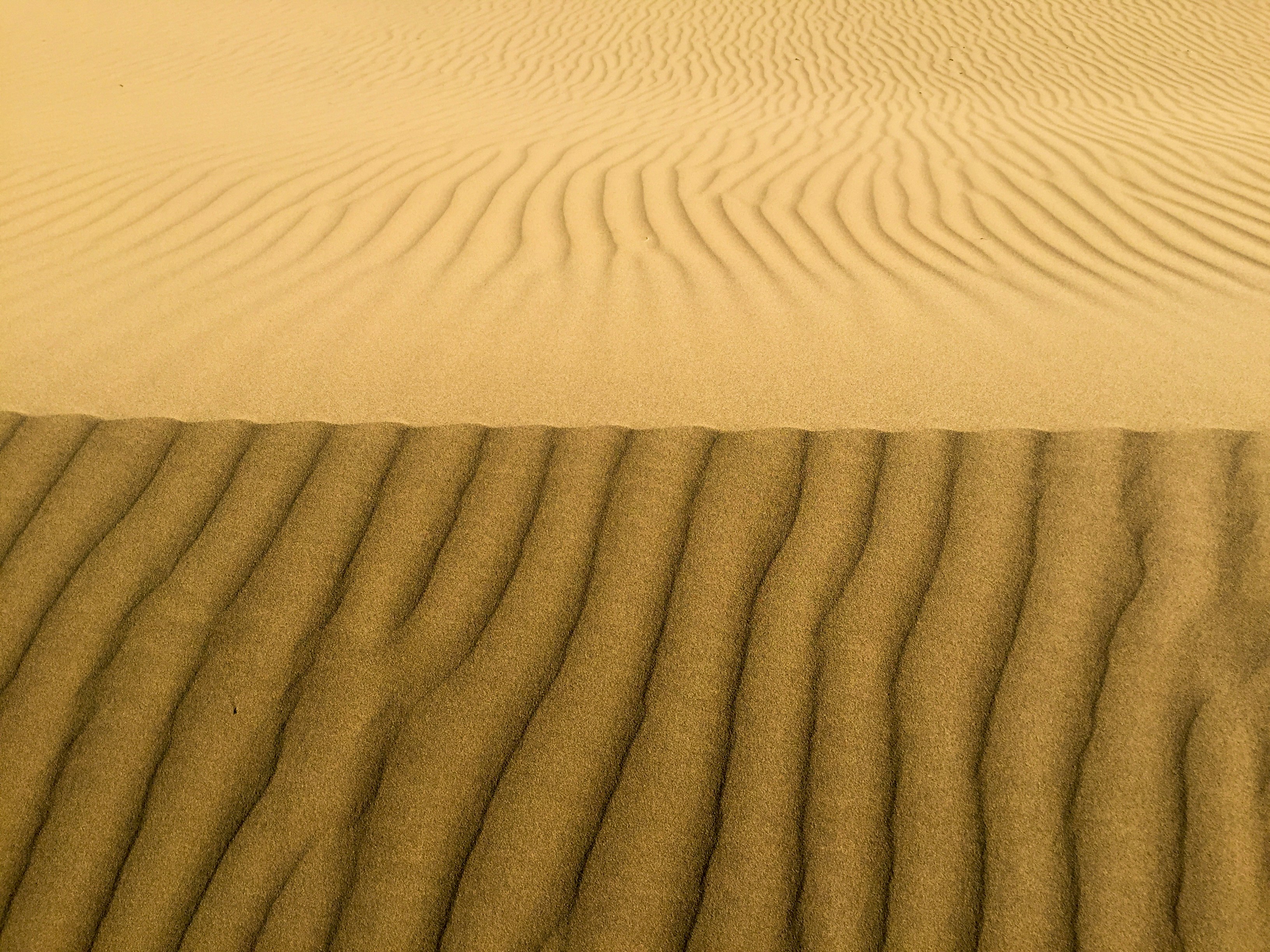 Textured patterns of wind-sculpted sand dunes create a rhythmic flow across the desert landscape.