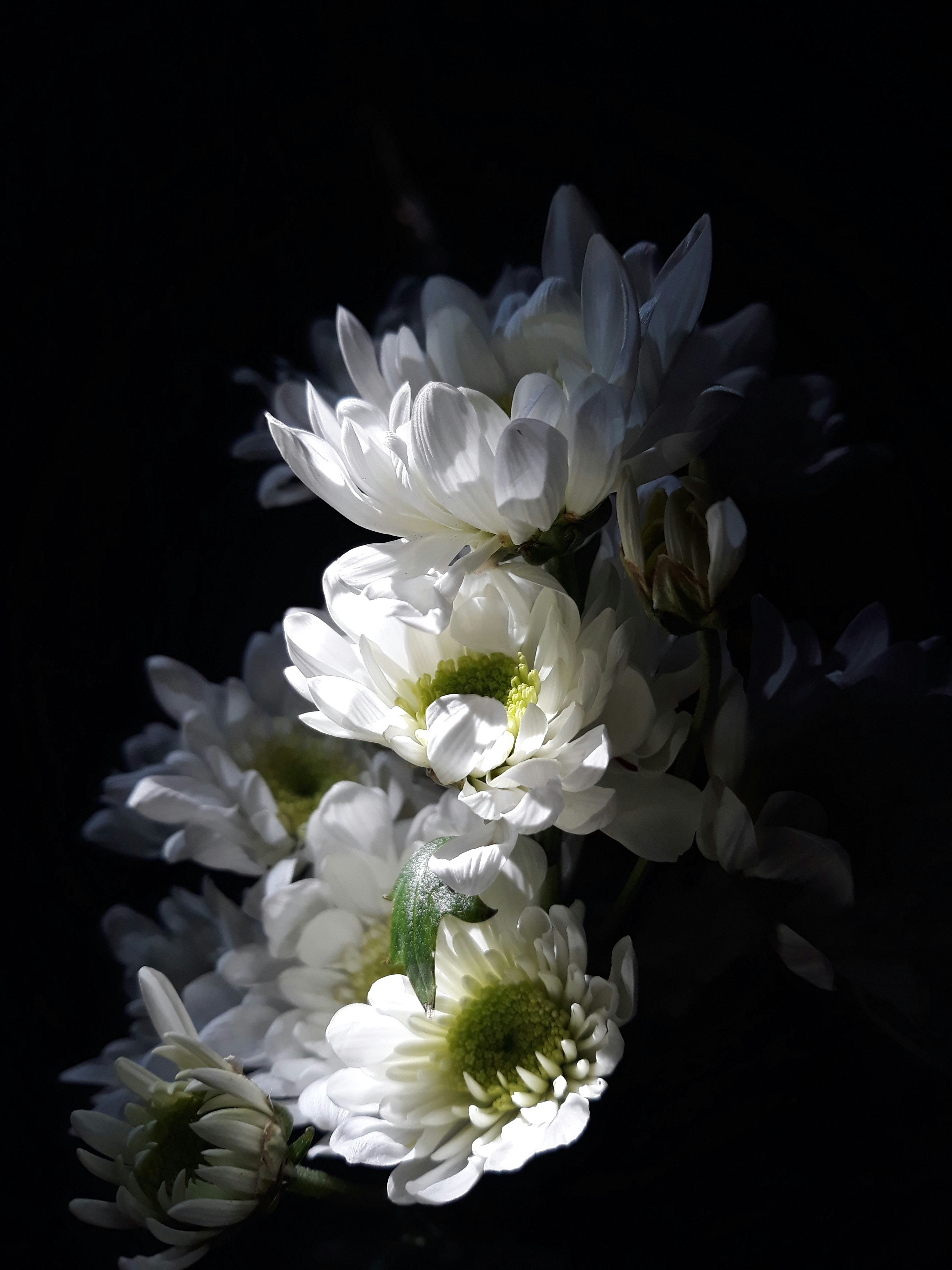 Sample photo from Samsung Galaxy J7 Pro