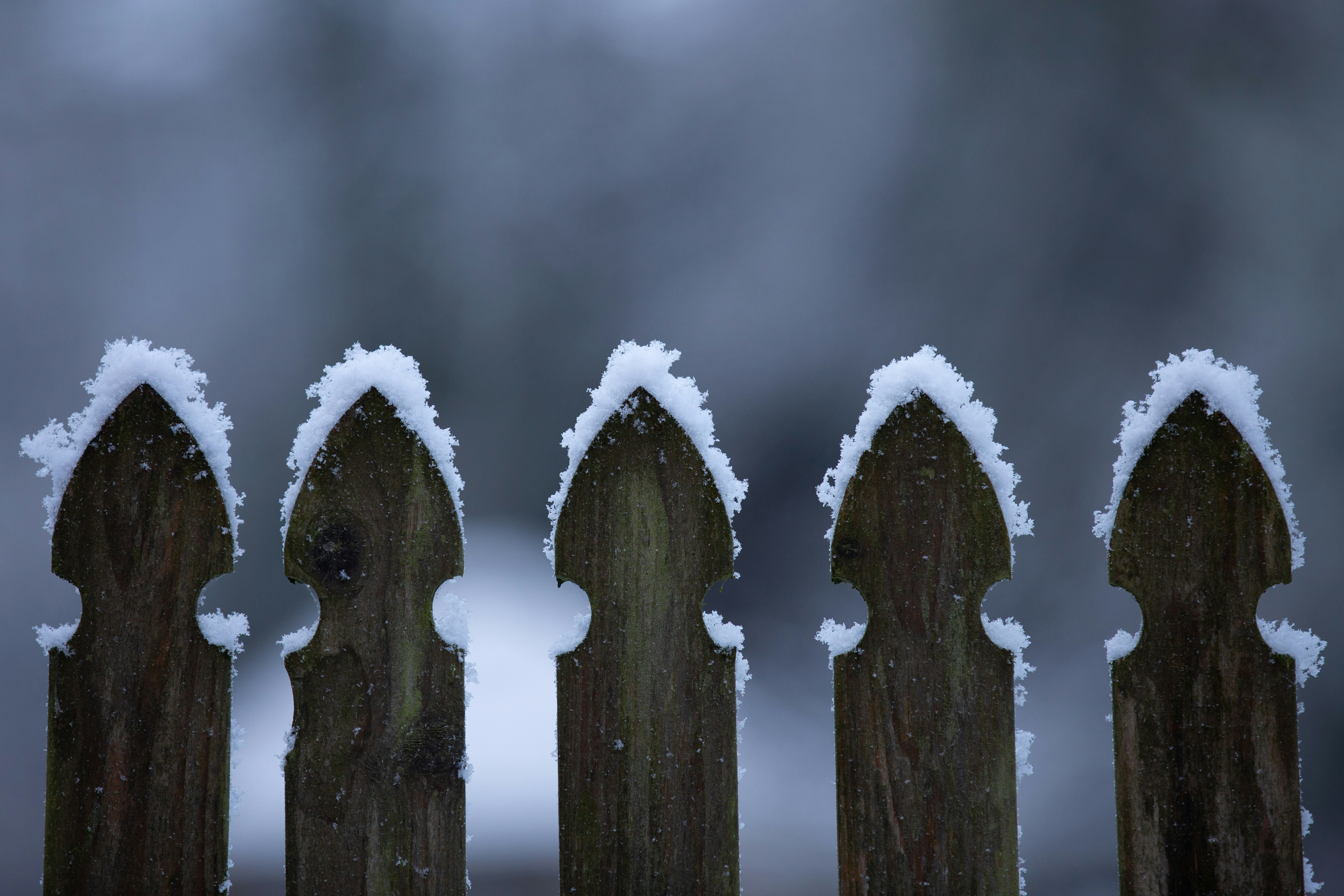 Snow-Kissed Pickets: Winter Quiet on a Fence