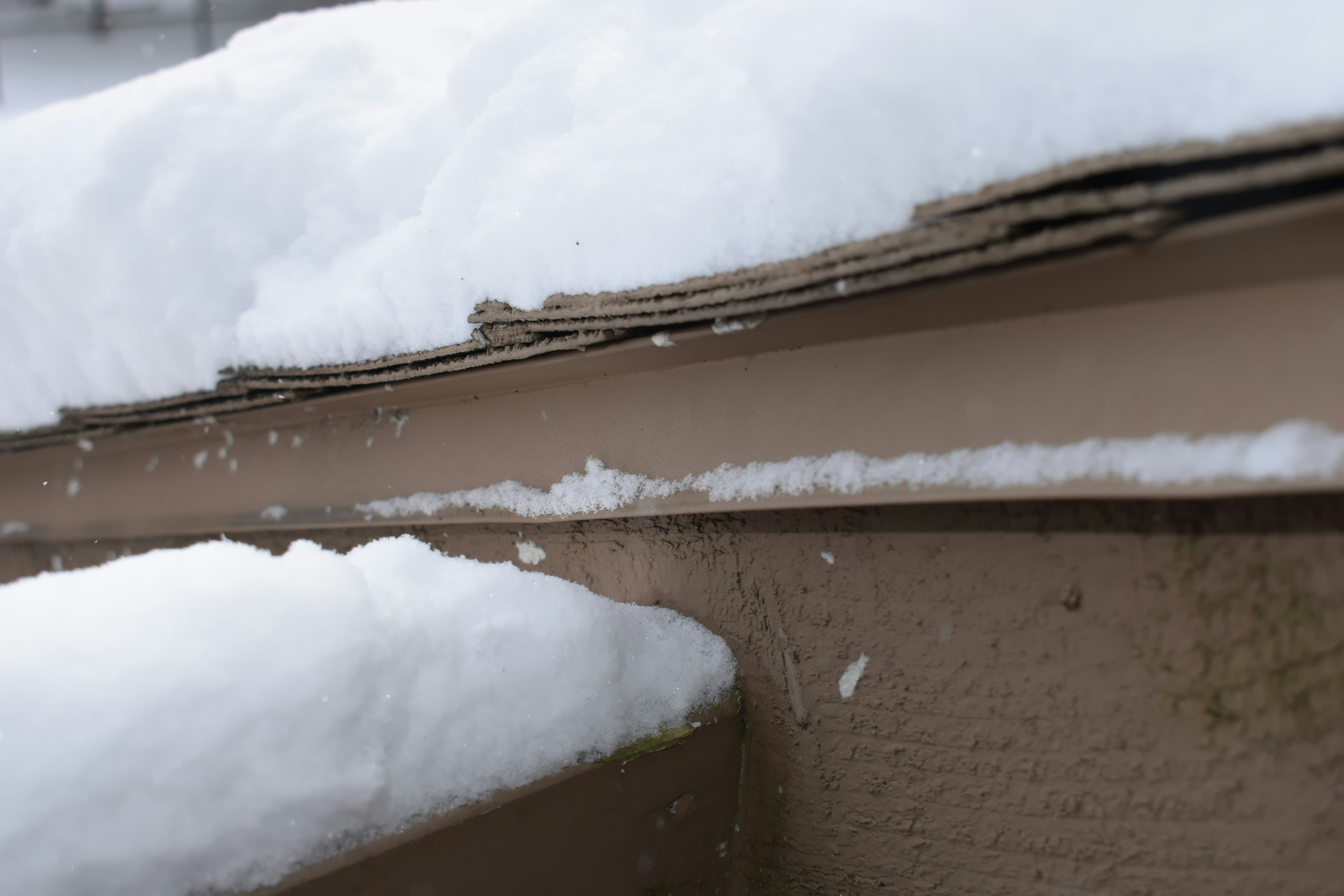 Lynda Sanchez (@naive_eye) | Unsplashフォトコミュニティ