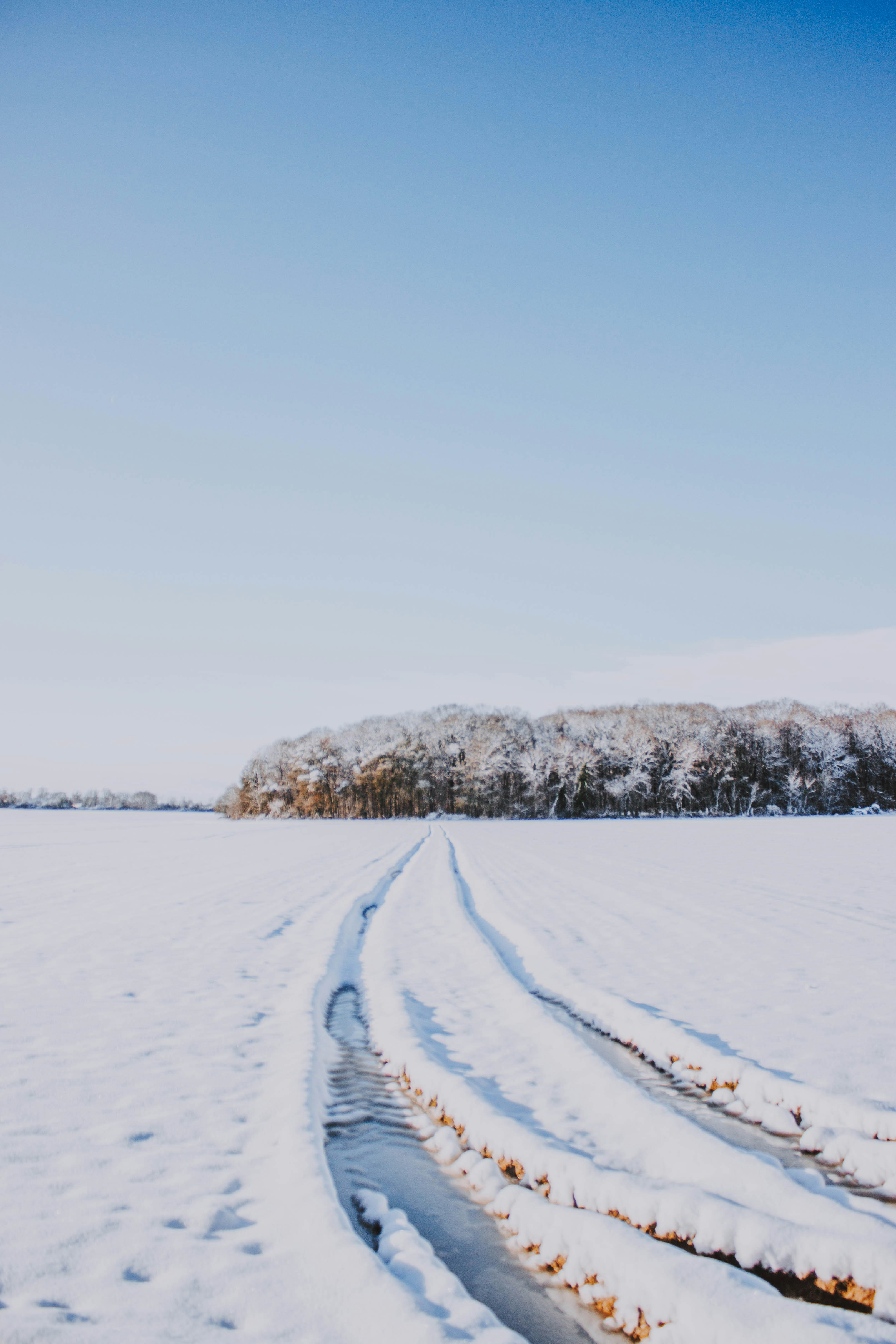 Snow covered walkway near forest photo – Free Nature Image on Unsplash