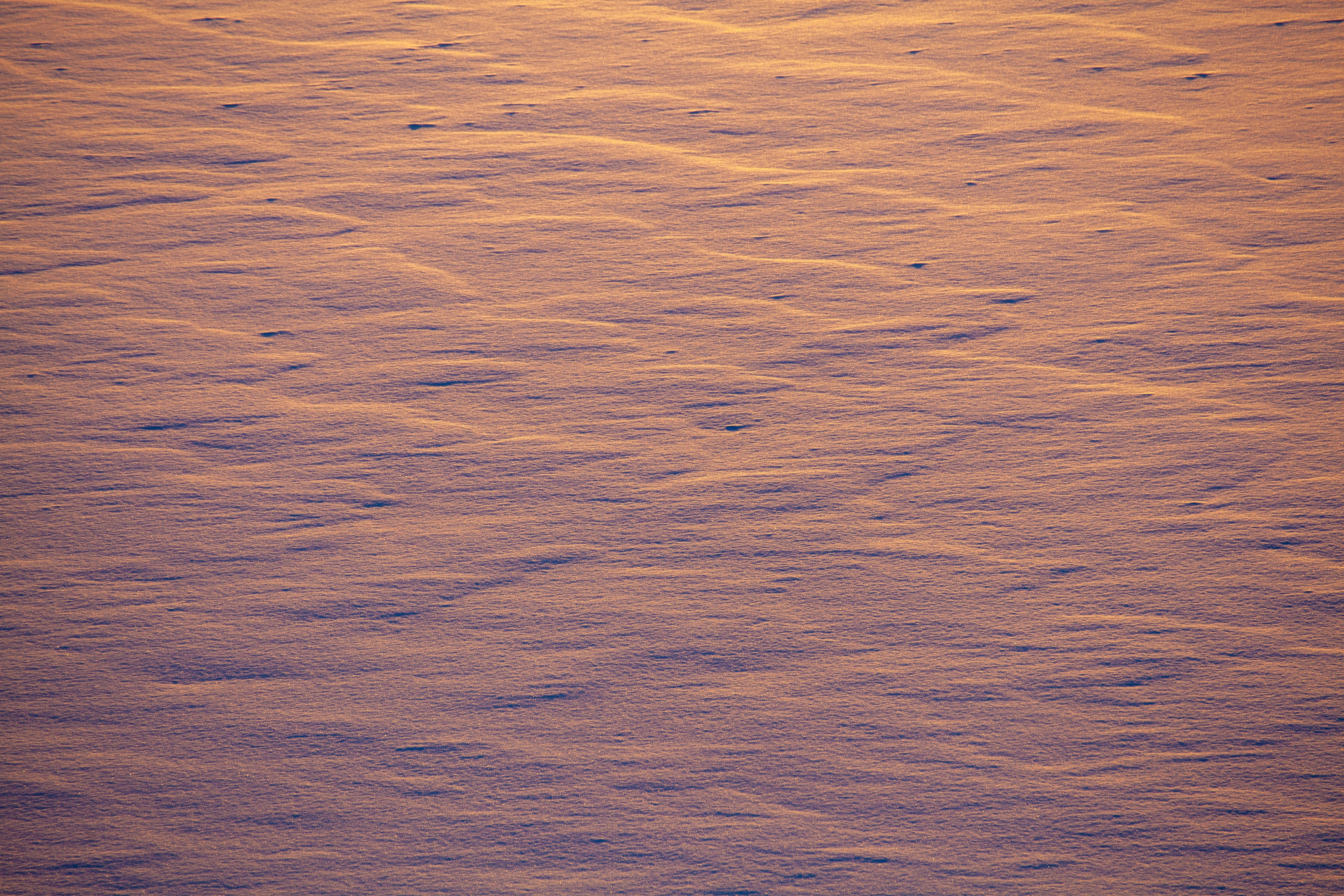 Gentle undulations of snow create a textured surface, illuminated by soft, warm light, evoking a serene winter landscape.