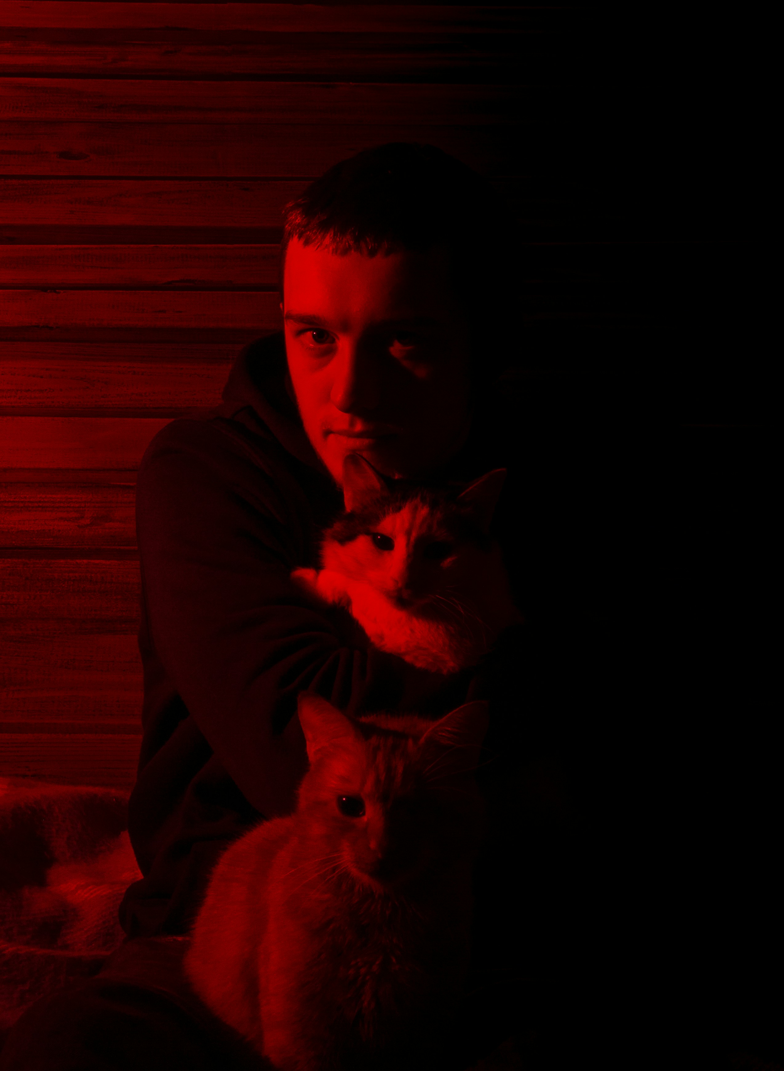 man hugging white cat