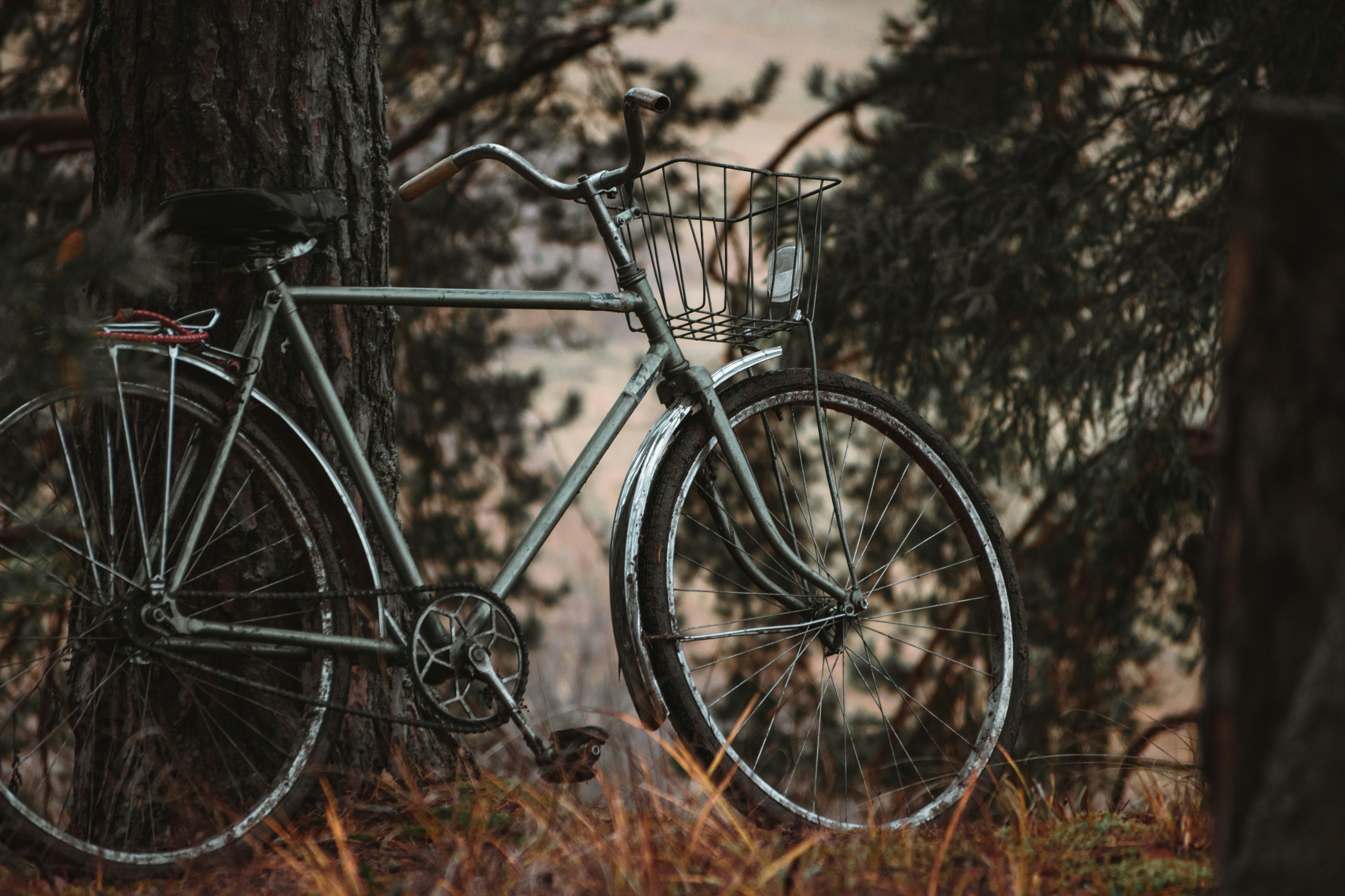 Gray bicycle photo – Free Autumn Image on Unsplash