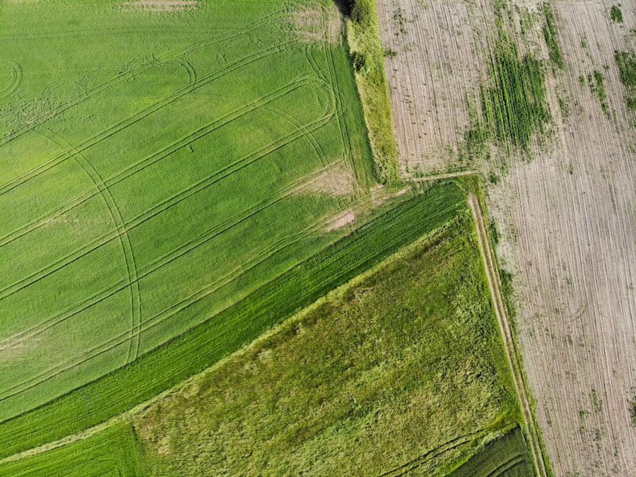 Aerial drone photo capturing the intersection of vibrant green fields and a brown fallow plot. The image highlights curved crop patterns and sharp field boundaries.