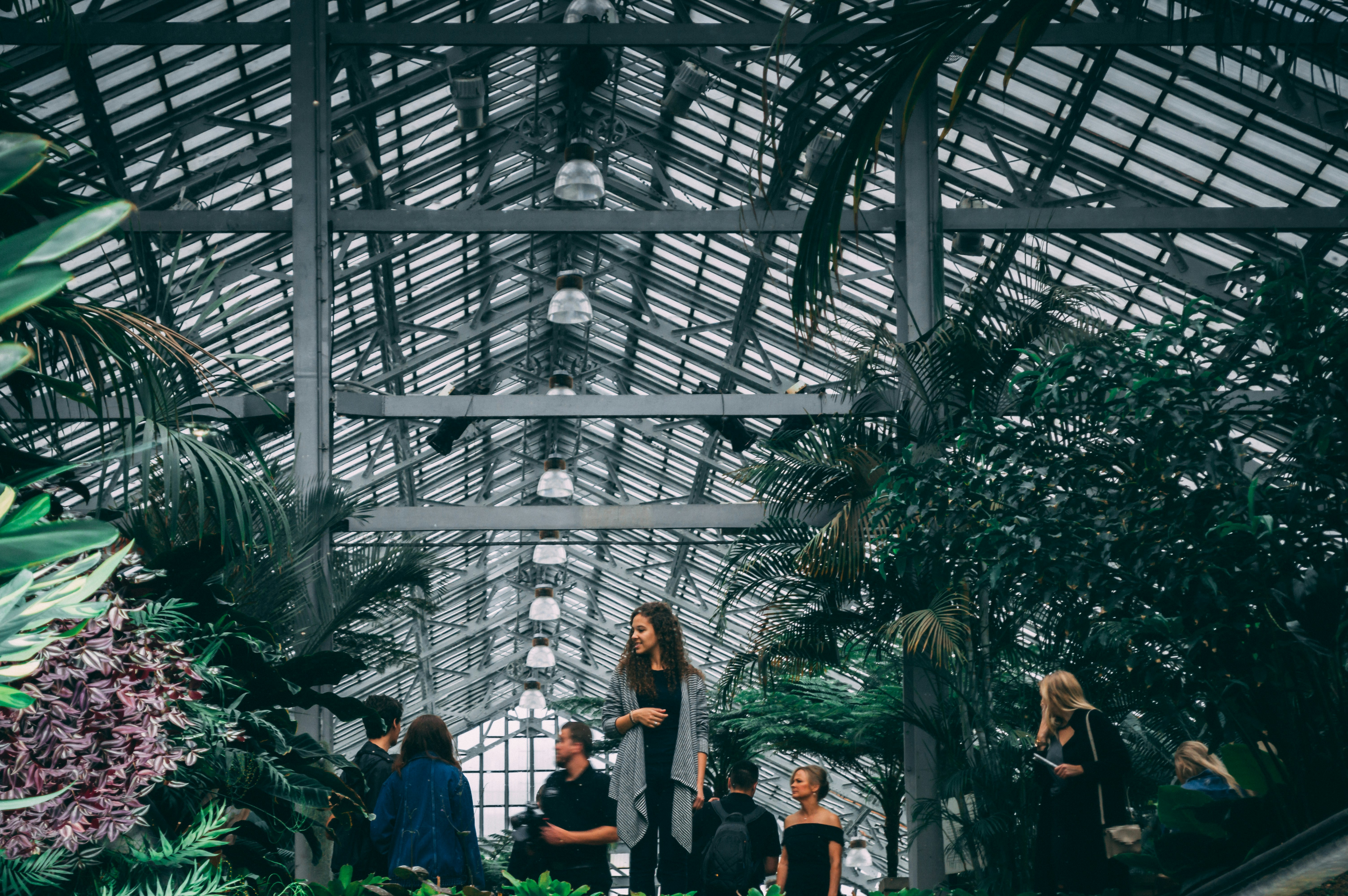 Femme debout à côté de l’arbre sous la lumière et galvaniser la tôle de ...