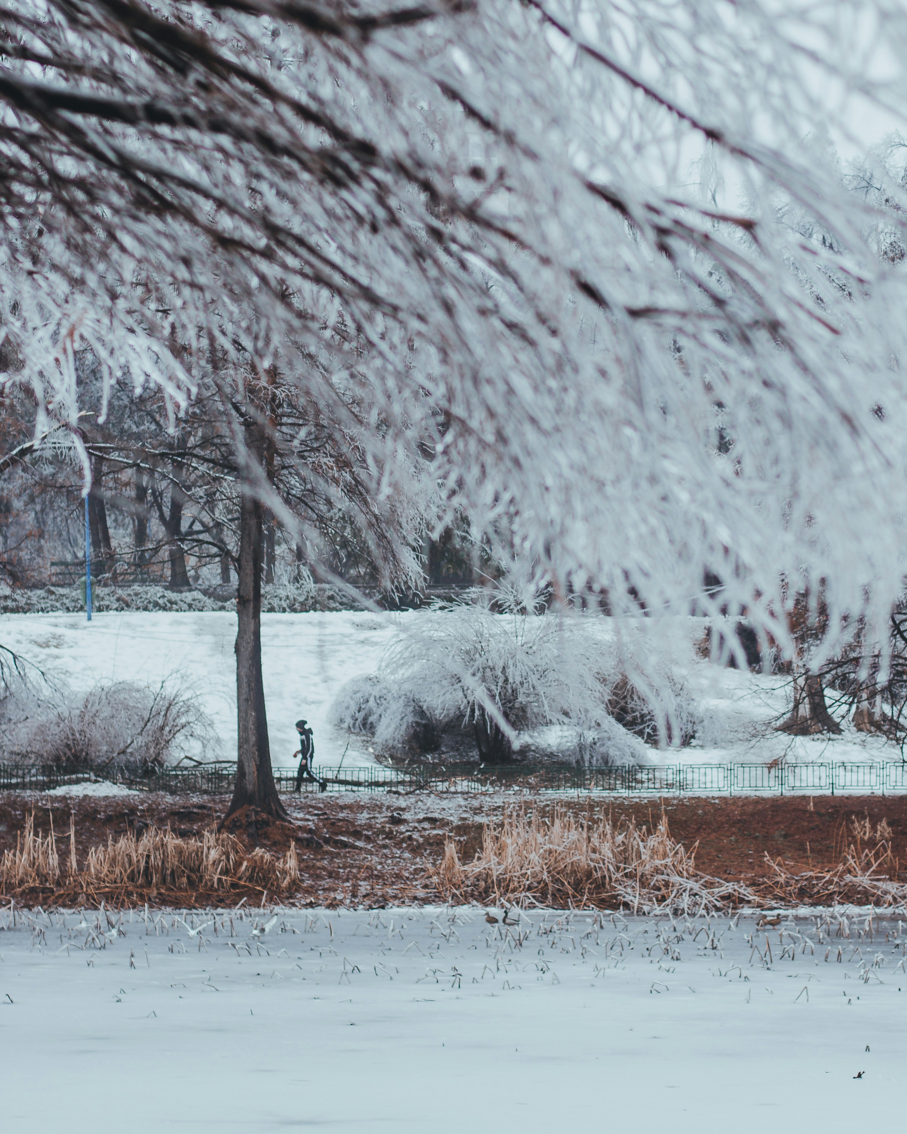 Person walking on pathway near river photo – Free Grey Image on Unsplash