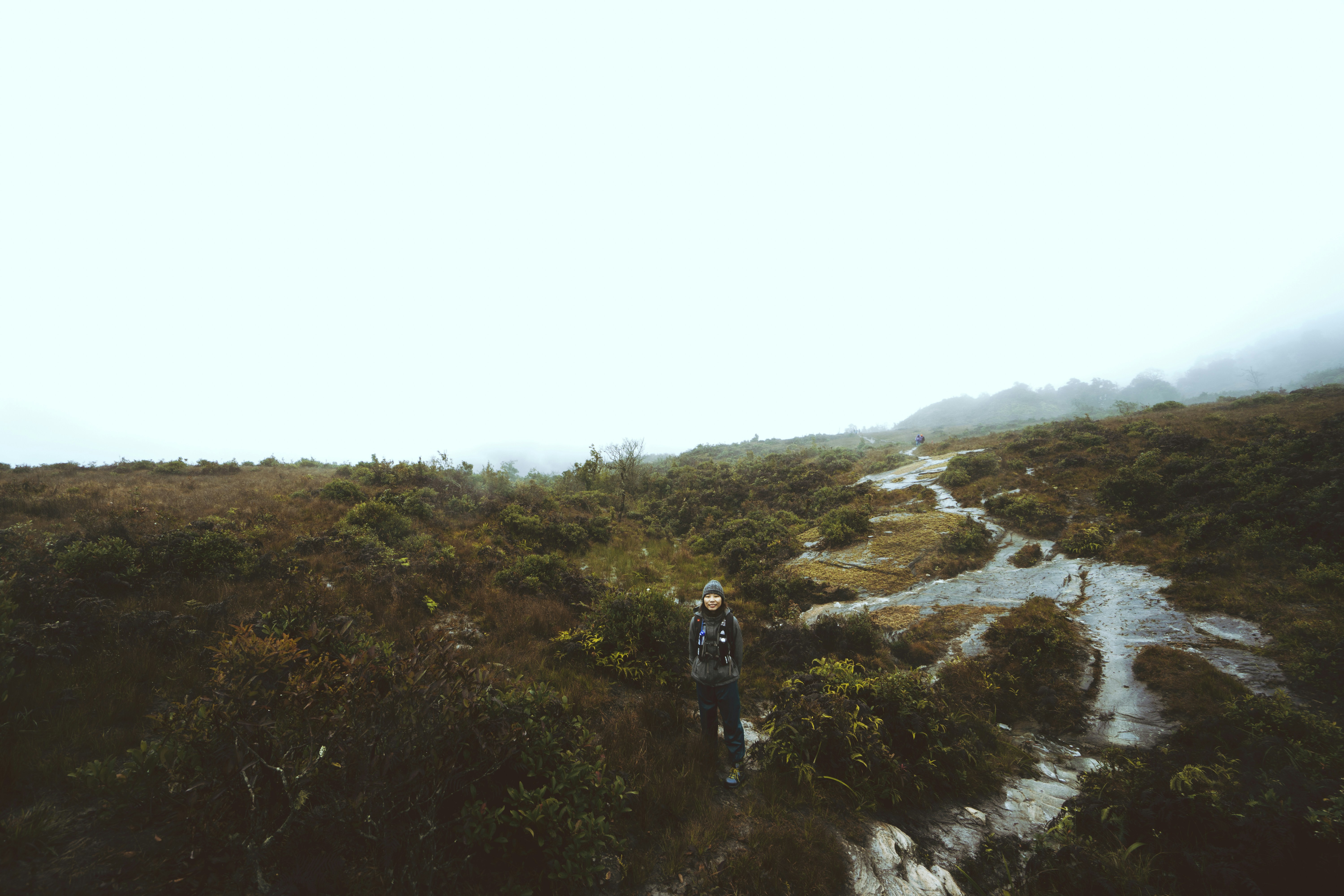Hiker navigating a rocky path surrounded by lush vegetation in a foggy landscape.