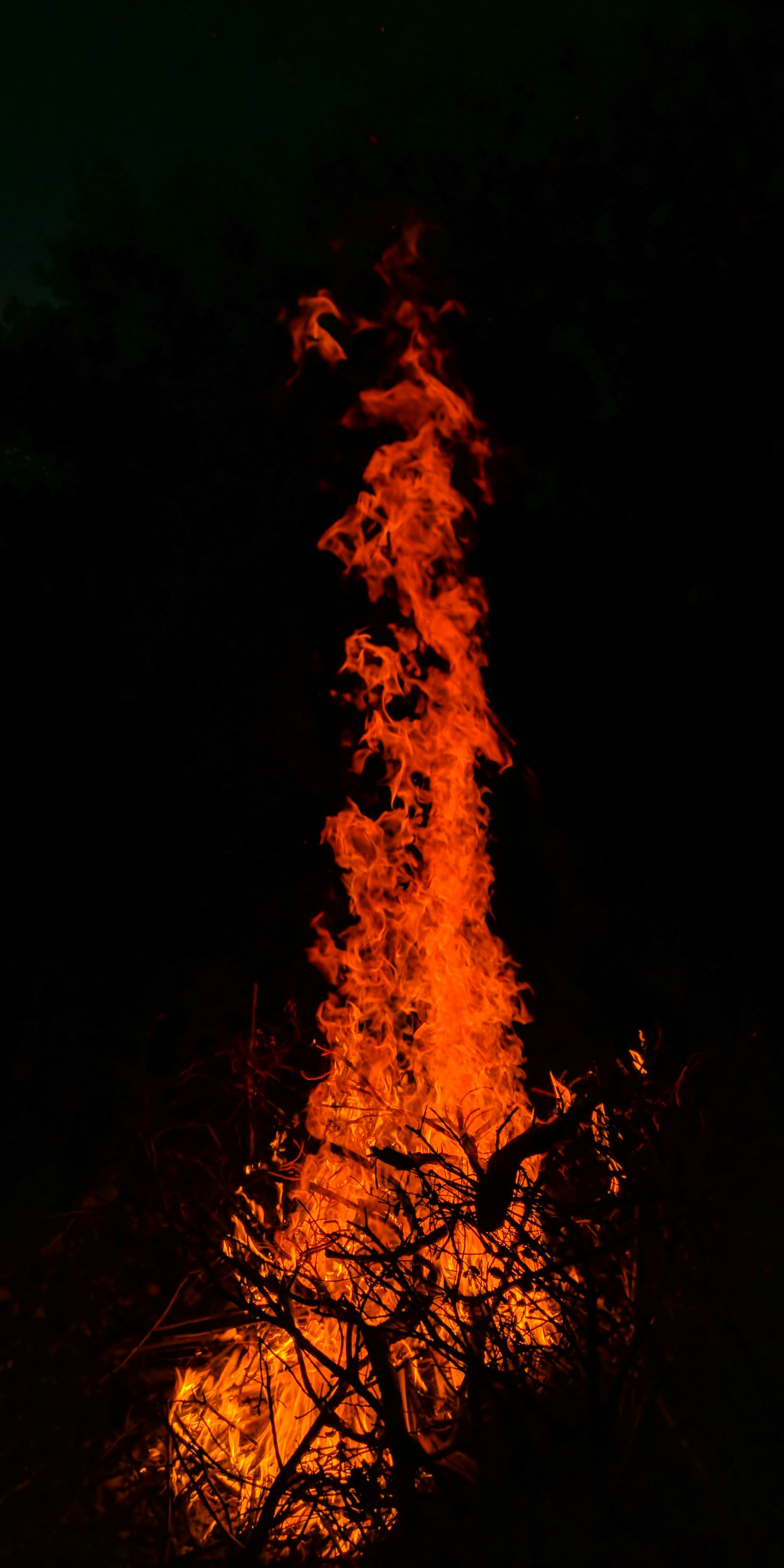 A vibrant flame spirals upward, illuminating the surrounding darkness with shades of orange and red. The fiery display emerges from a tangle of dry branches.