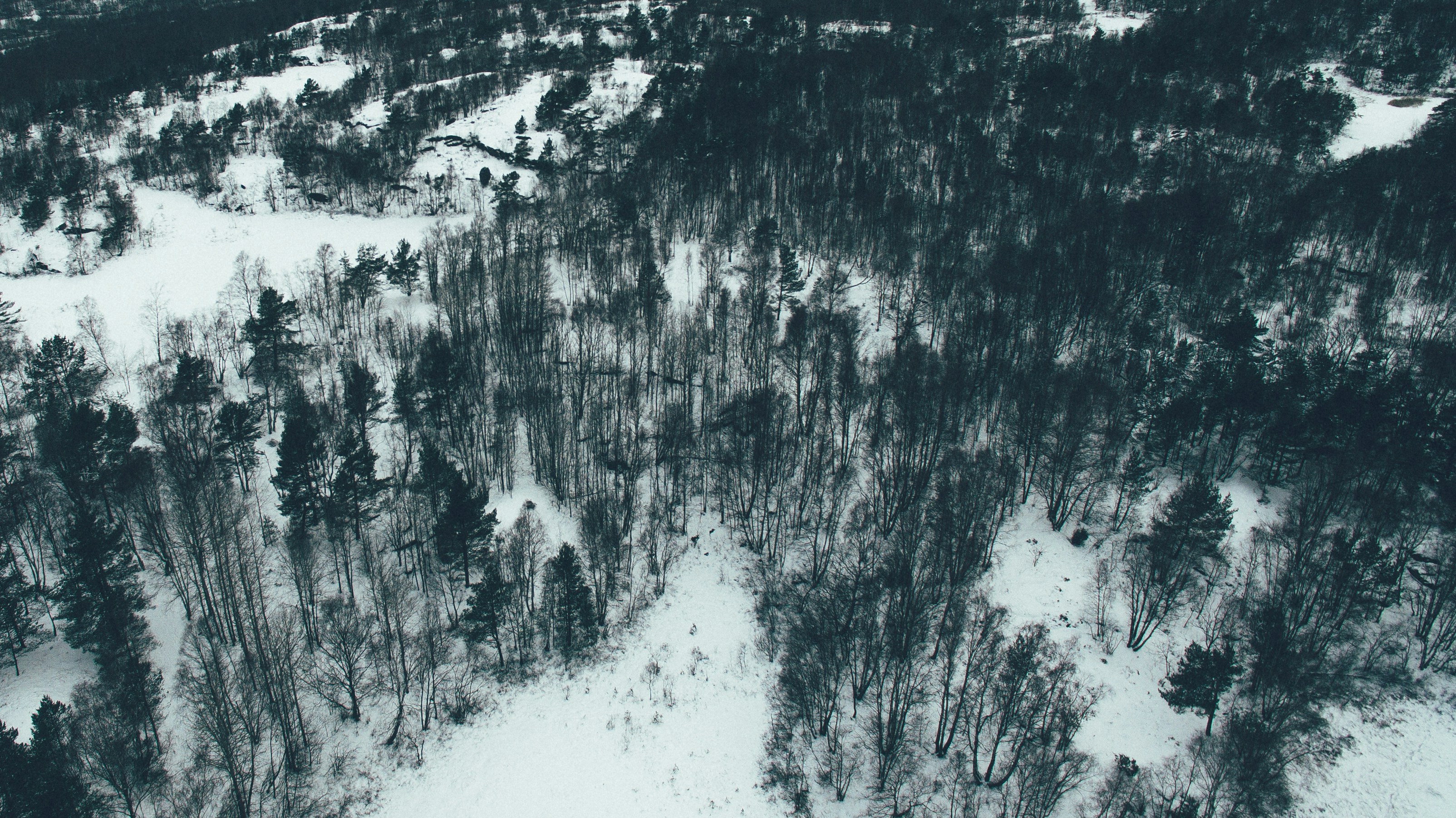 Définition de figement | Dictionnaire français | La langue française