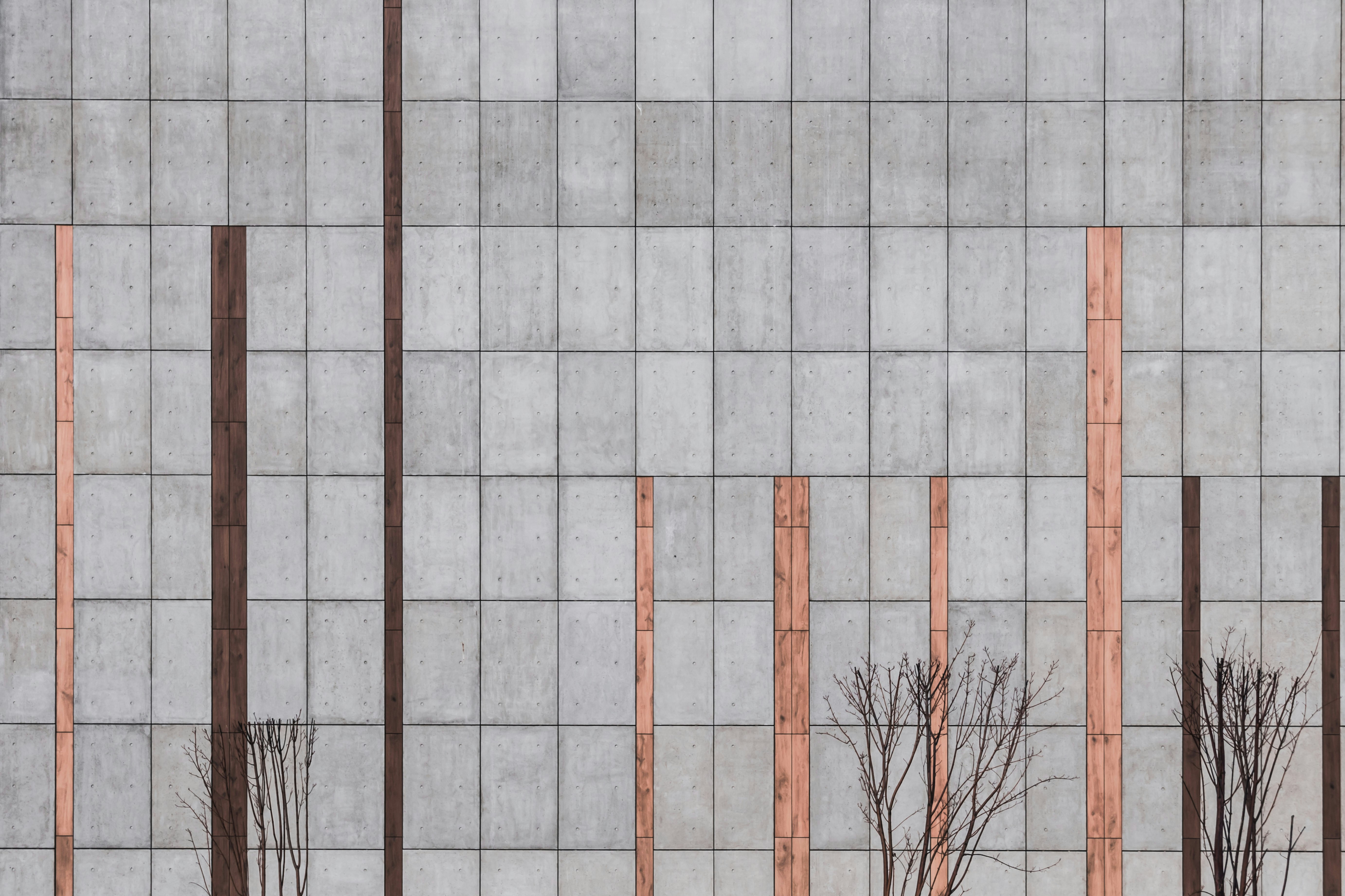 A textured concrete wall showcases vertical copper accents and bare trees, highlighting the contrast between urban architecture and natural elements.