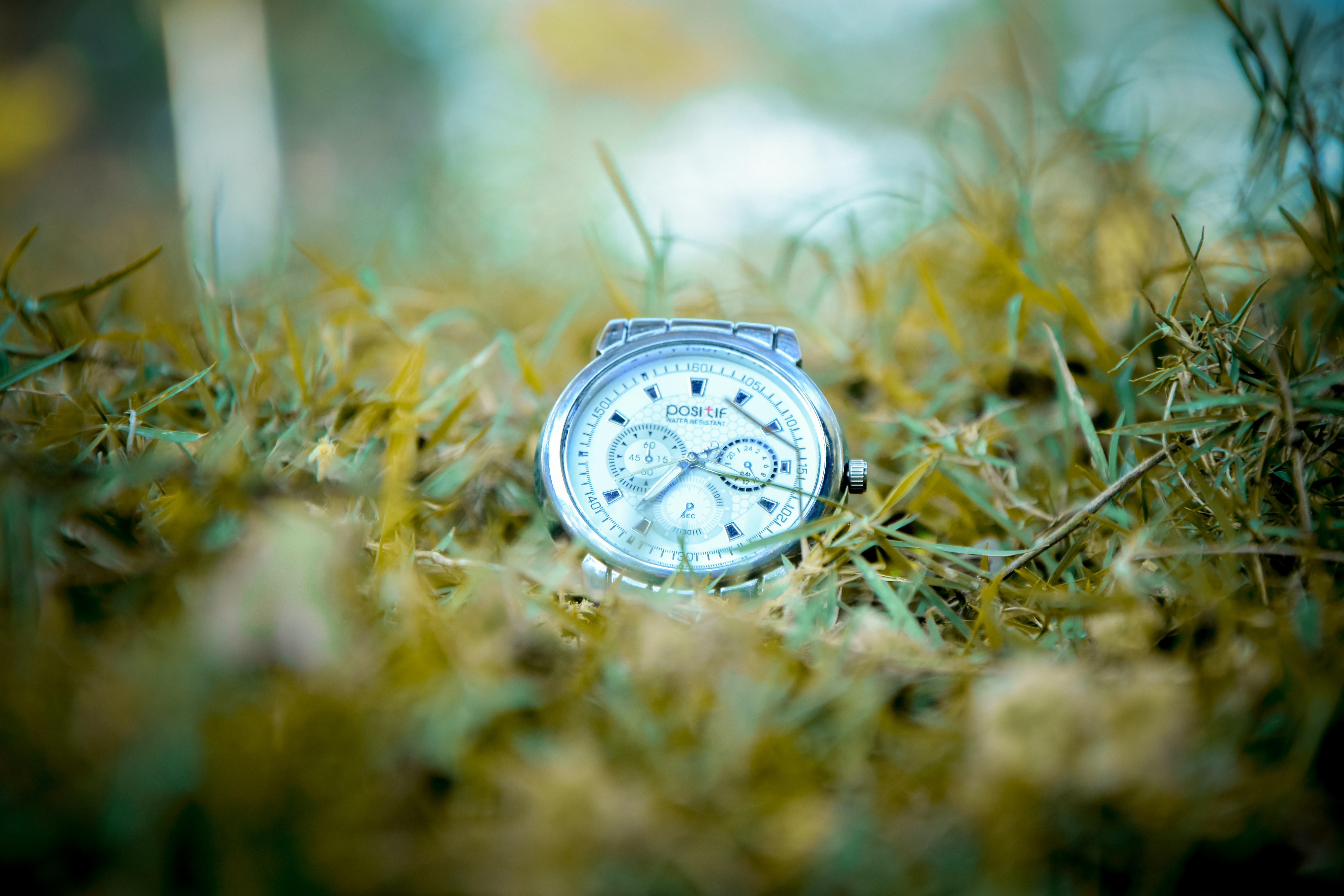 Time in the Grass: A Silver Watch Resting Among Quiet Foliage