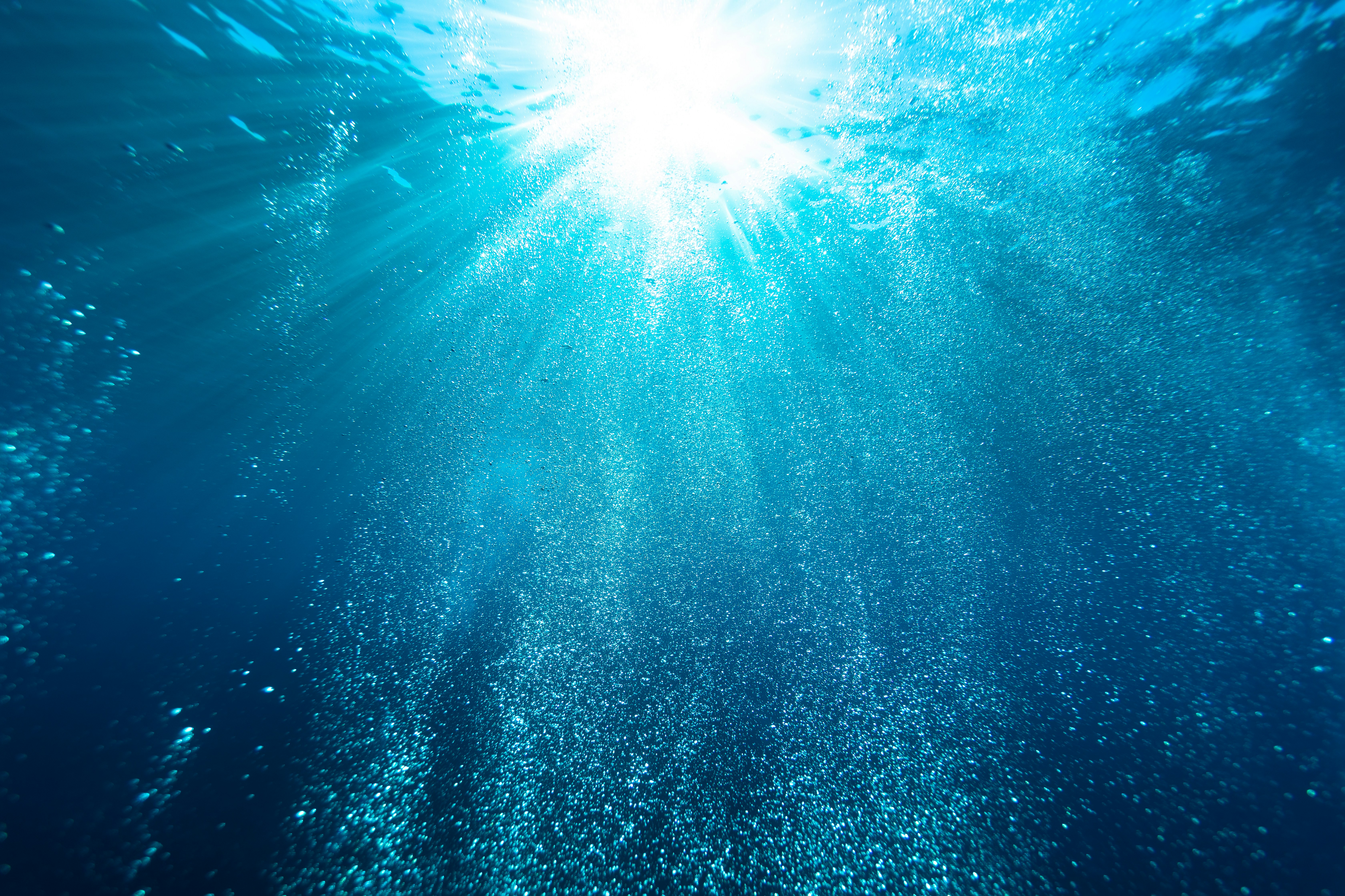 blue. | 100+ best free photos on Unsplash